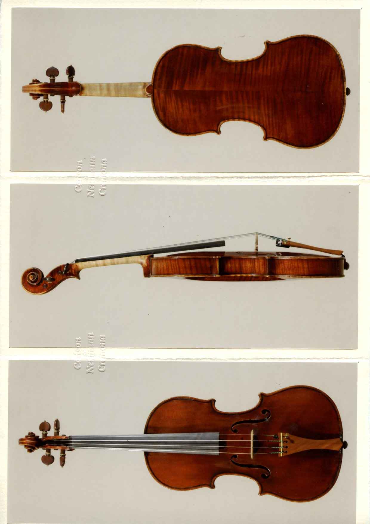 Feine italienische Geige (Zertifikat Carlson & Neumann)