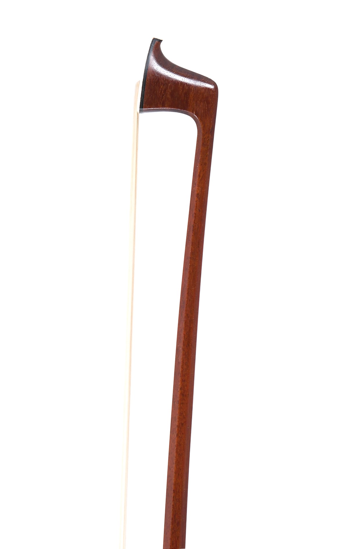 Fine master violin bow by C.A. Hoyer, Markneukirchen