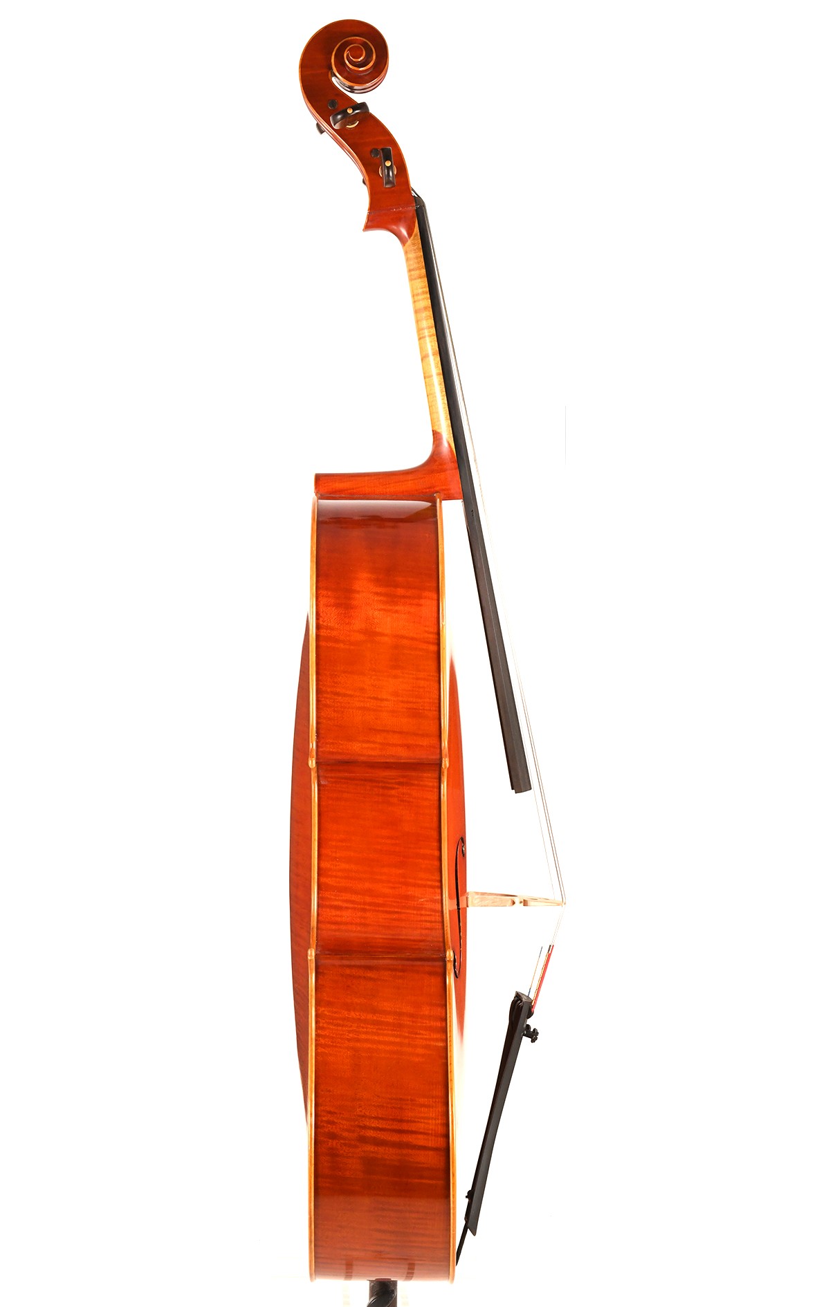 Italian cello by Lorenzo Locatelli, Cremona (certificate Lorenzo Locatelli)