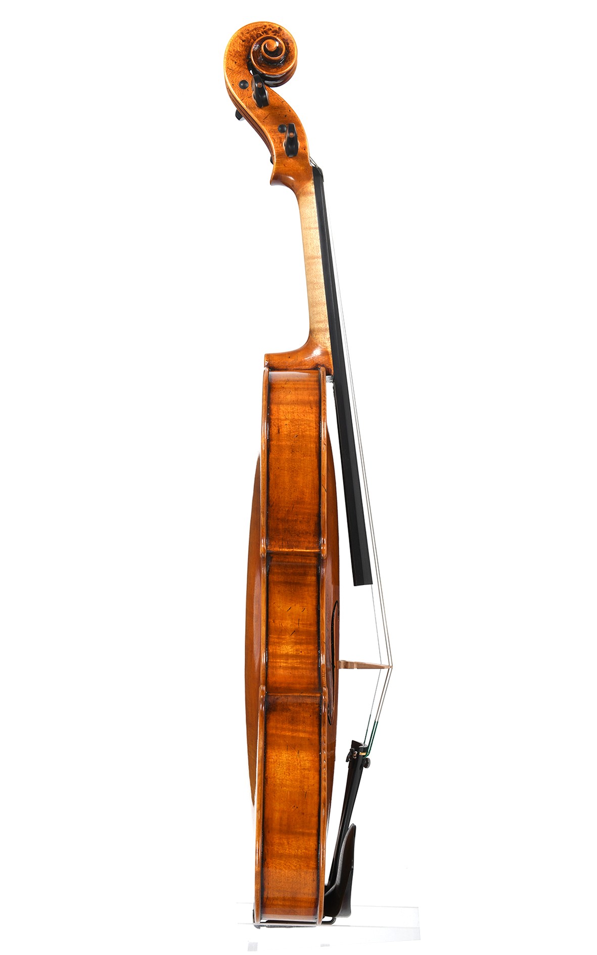 Cremona viola by Luca Mario Gallo (2023)