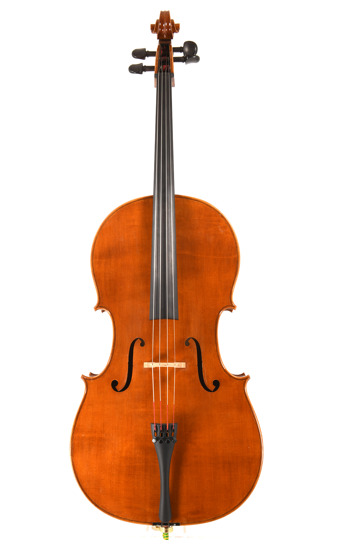 New arrivals at Corilon violins