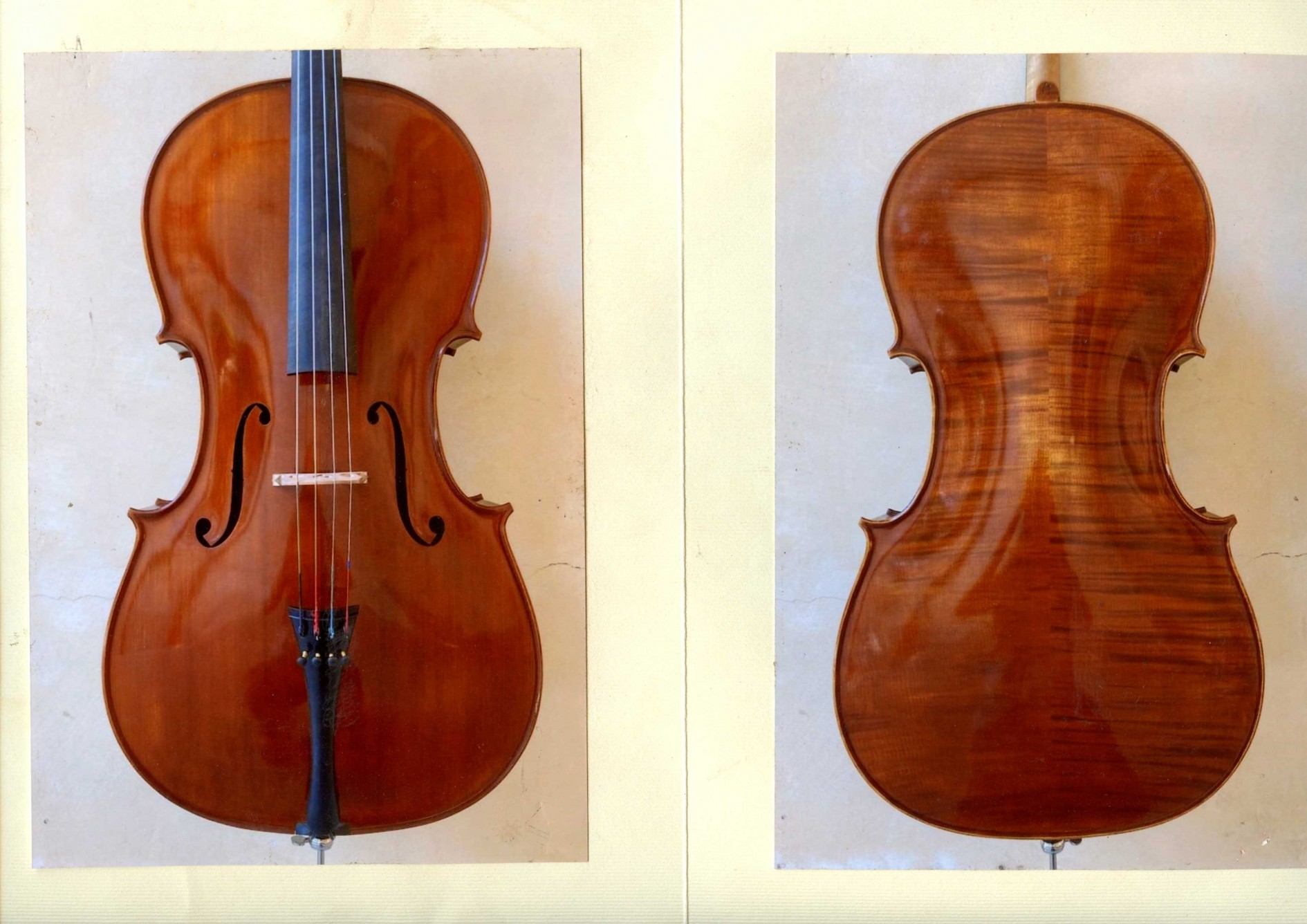 Mario Gadda, Italian cello from 1982