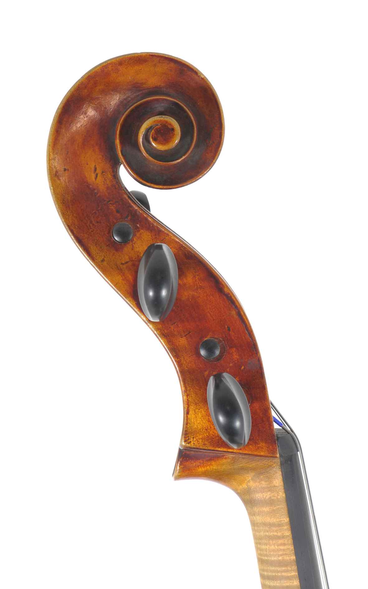 Old German Cello by Eduard Tauscher, circa 1920