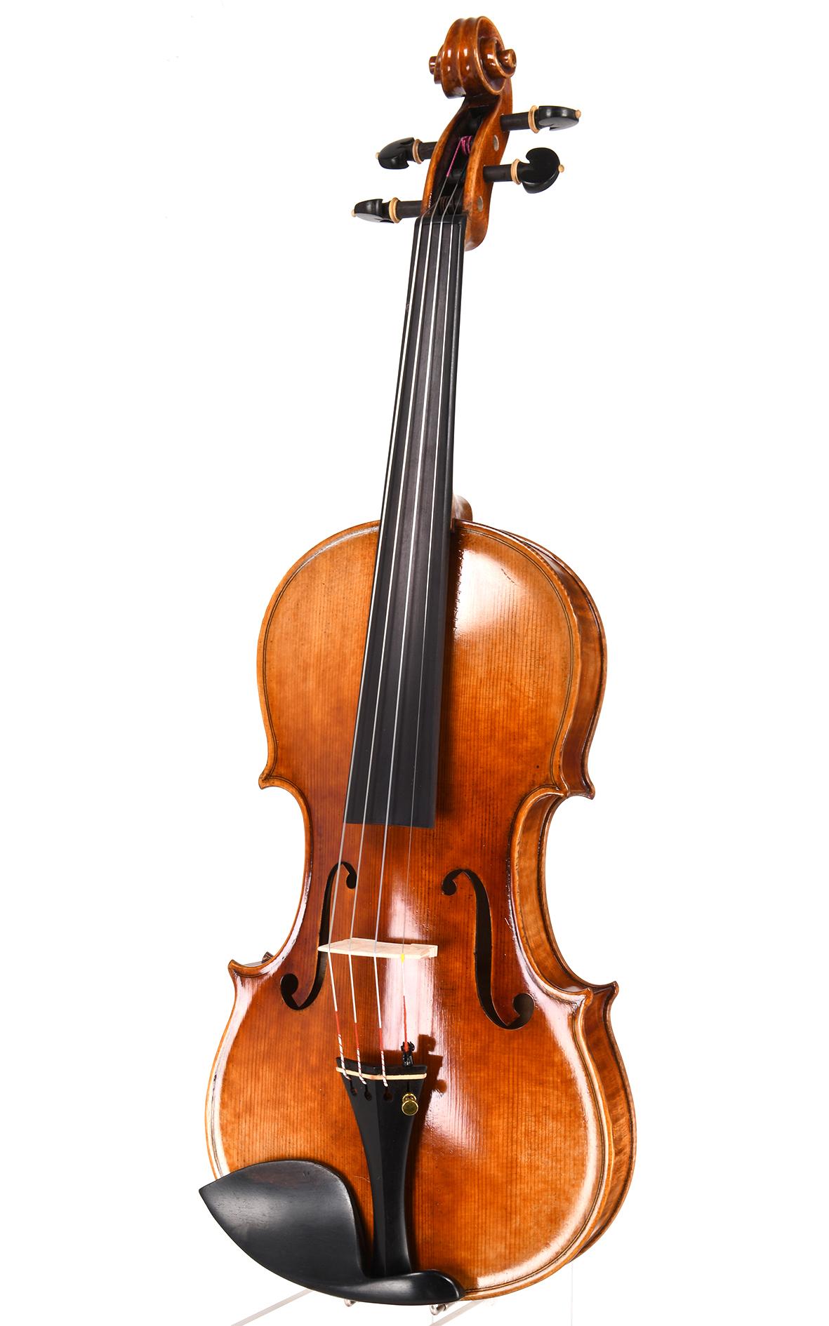 CV Selectio - affordable new string instruments