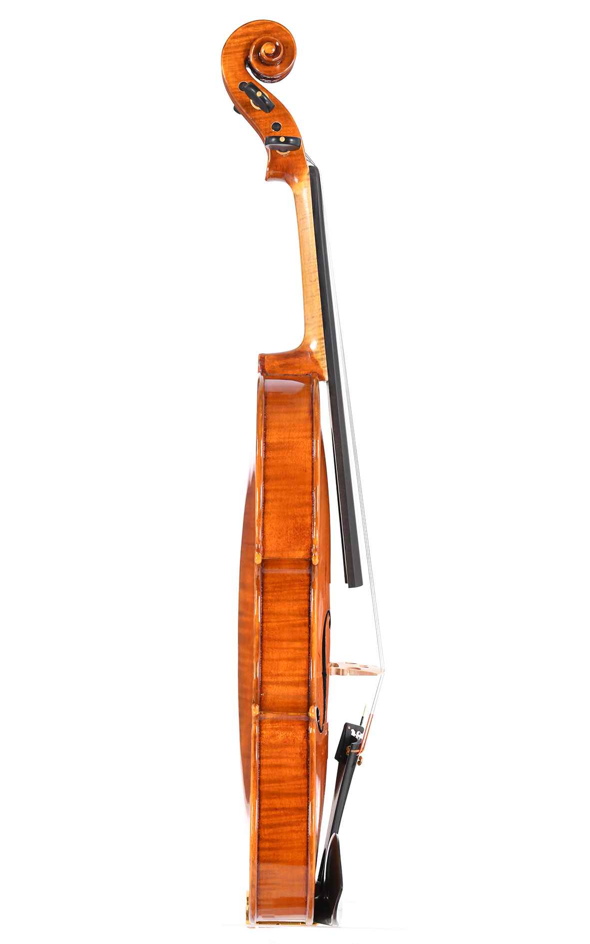 Cremonese violin by Francesco Domenica