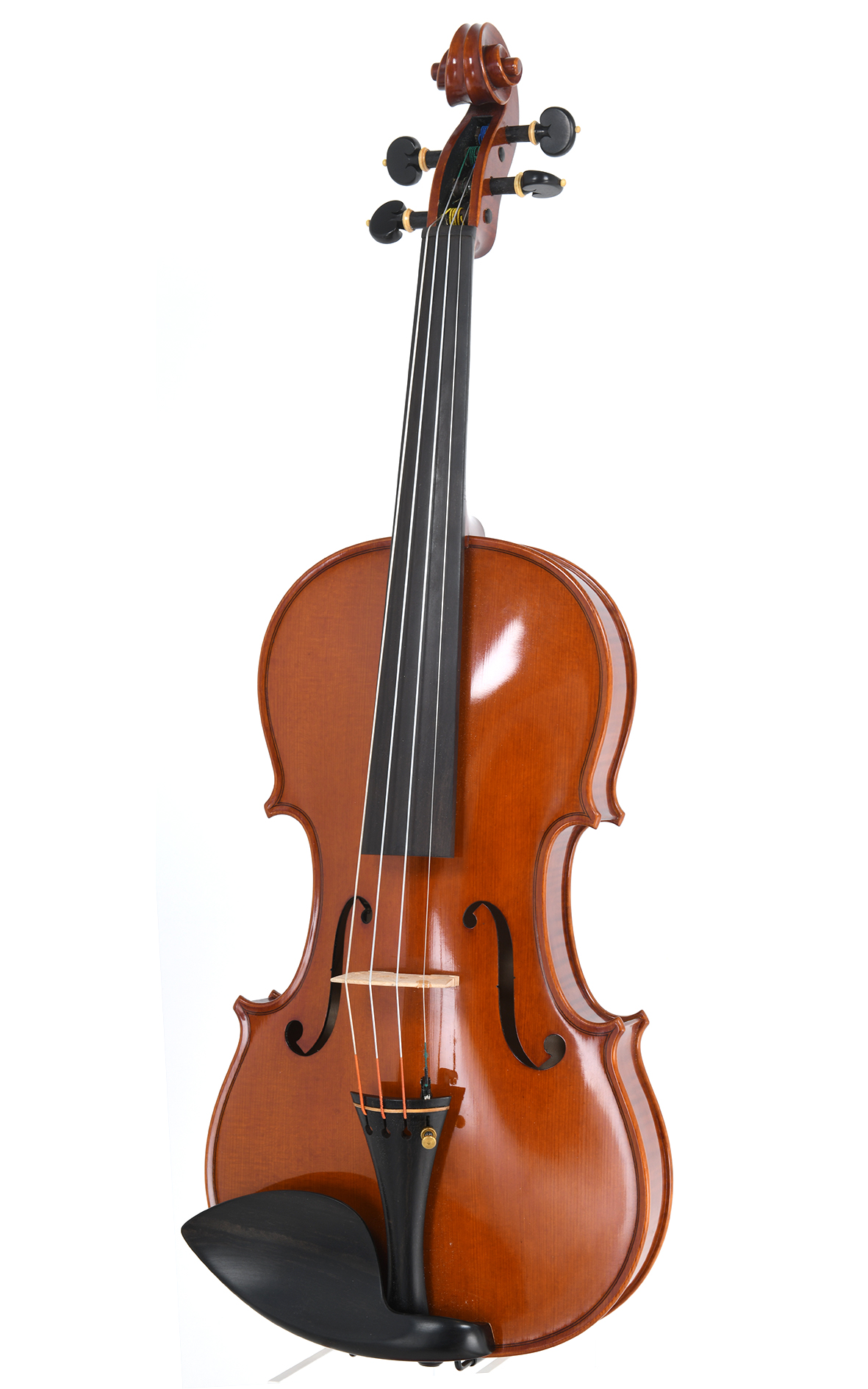 ITALIAN VIOLINS - Catalogue of premium violins from Italy for sale ...