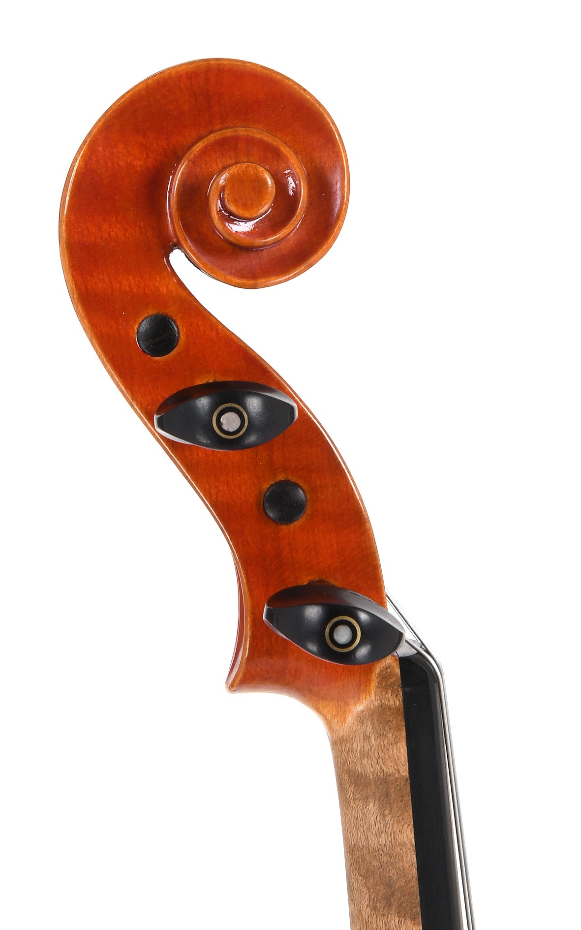 Italian violin by Marco Pandozzi
