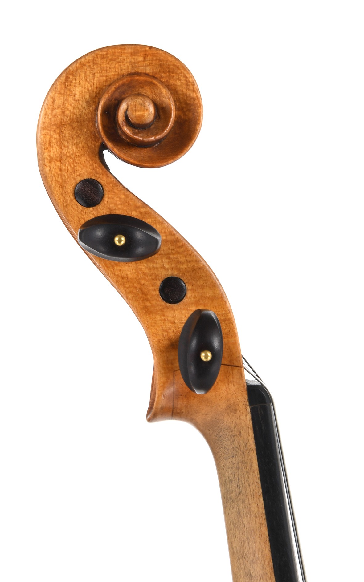 Old violin, Czech Republic