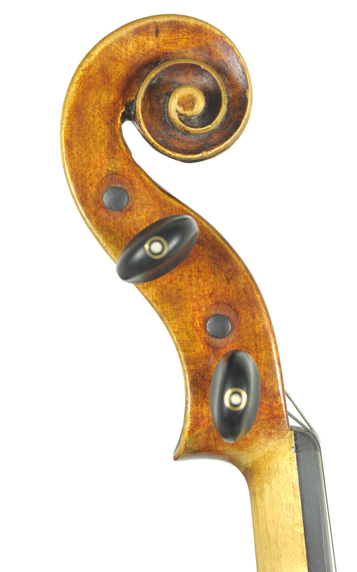 Fine Klotz violin made by Georg Klotz, 1766