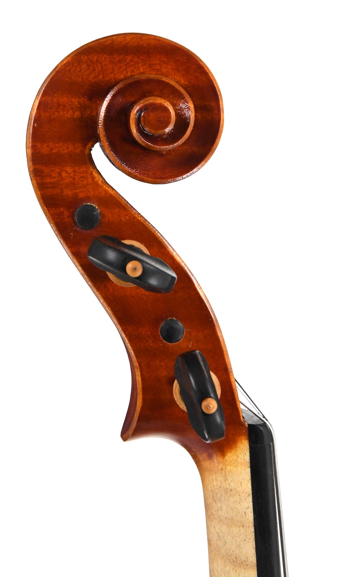 Lorenzo Locatelli, Italian violin from Cremona, 2021 (certificate ...