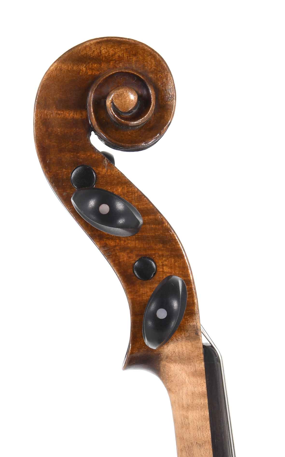 Antique violin from Markneukirchen, c.1900 - Maggini model