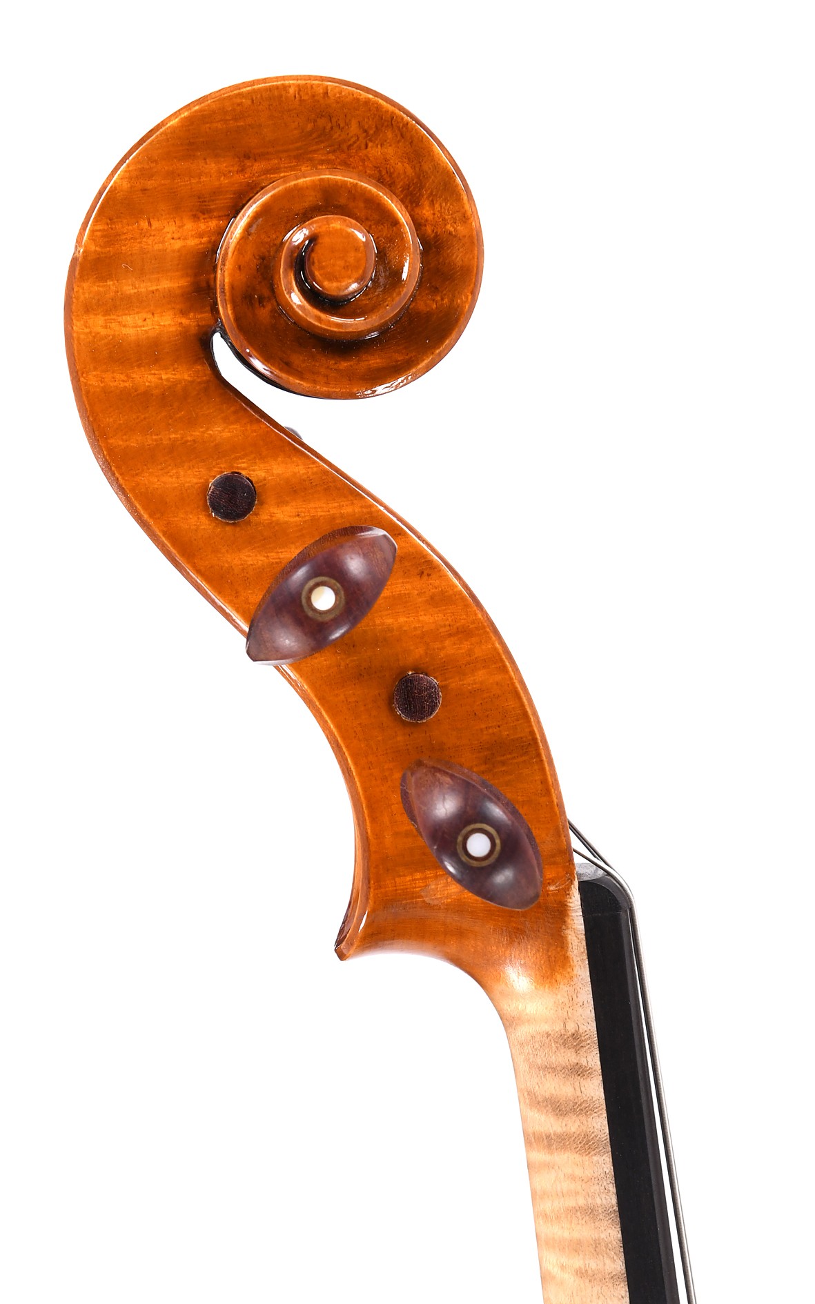 Cremona, Piergiuseppe Esposti: Contemporary Italian viola