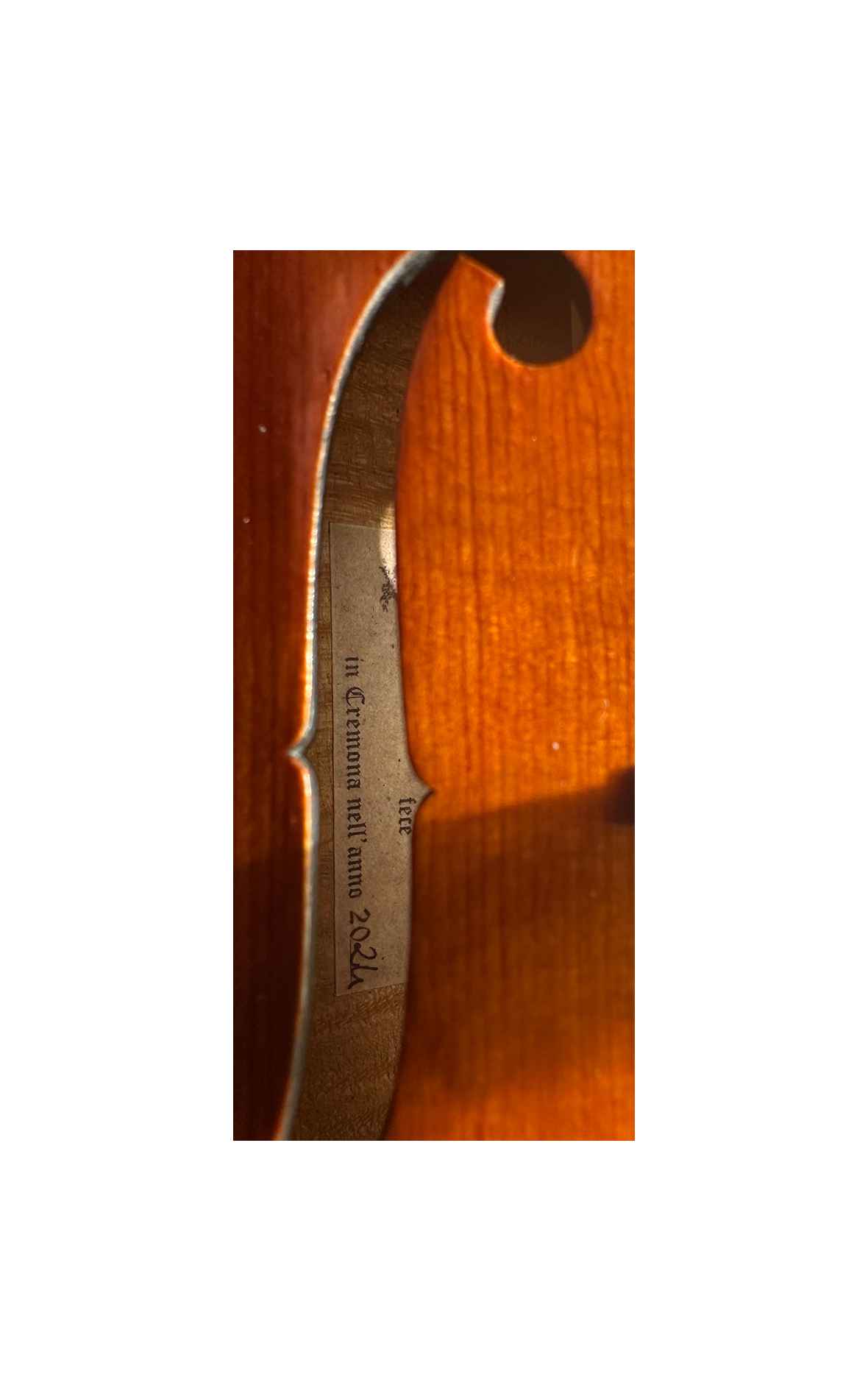 Massimo Ardoli, Cremona: Italian viola based Amati's “Stauffer” (2024)