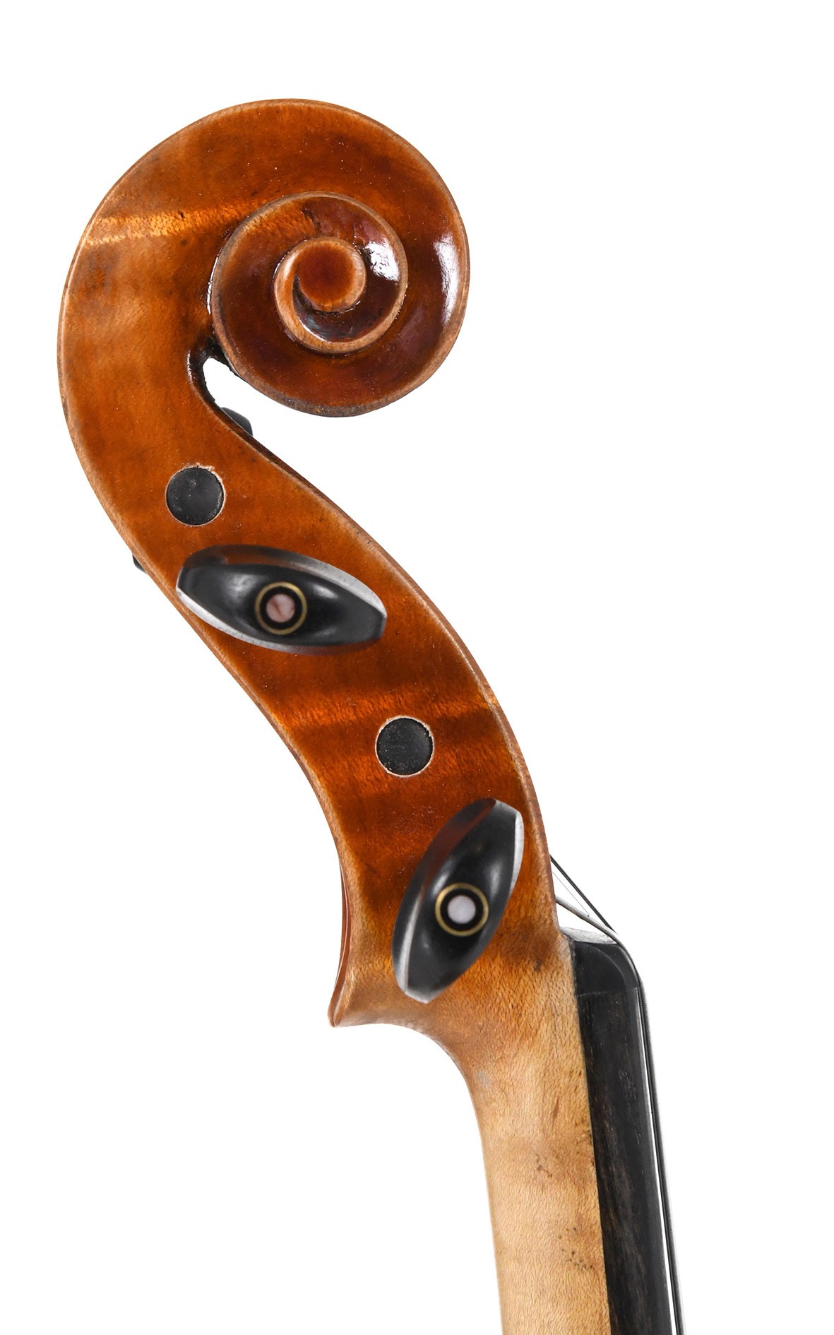 Violin op. 11 from the "CV Selectio" portfolio