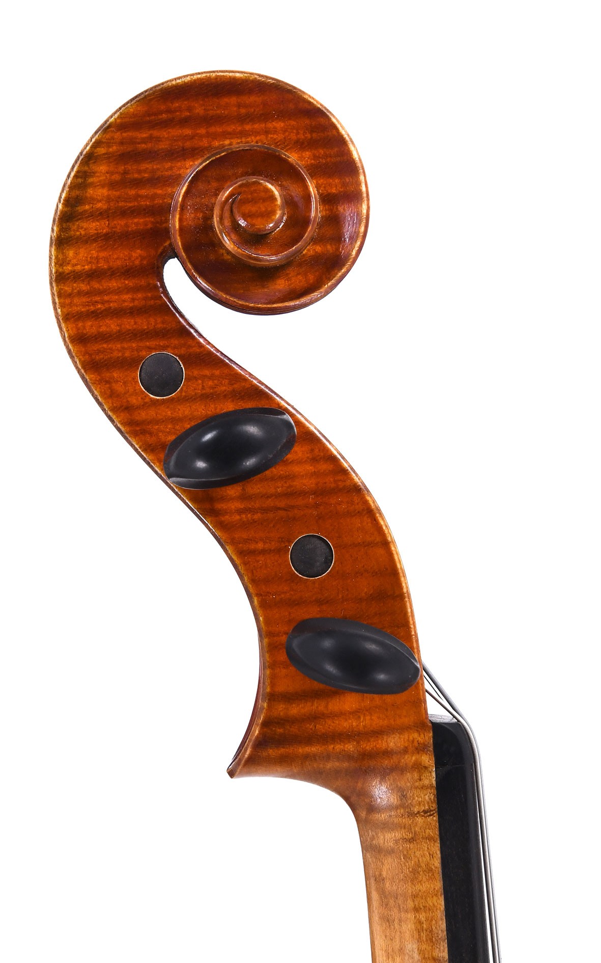 Modern Italian violin by Mario Gadda