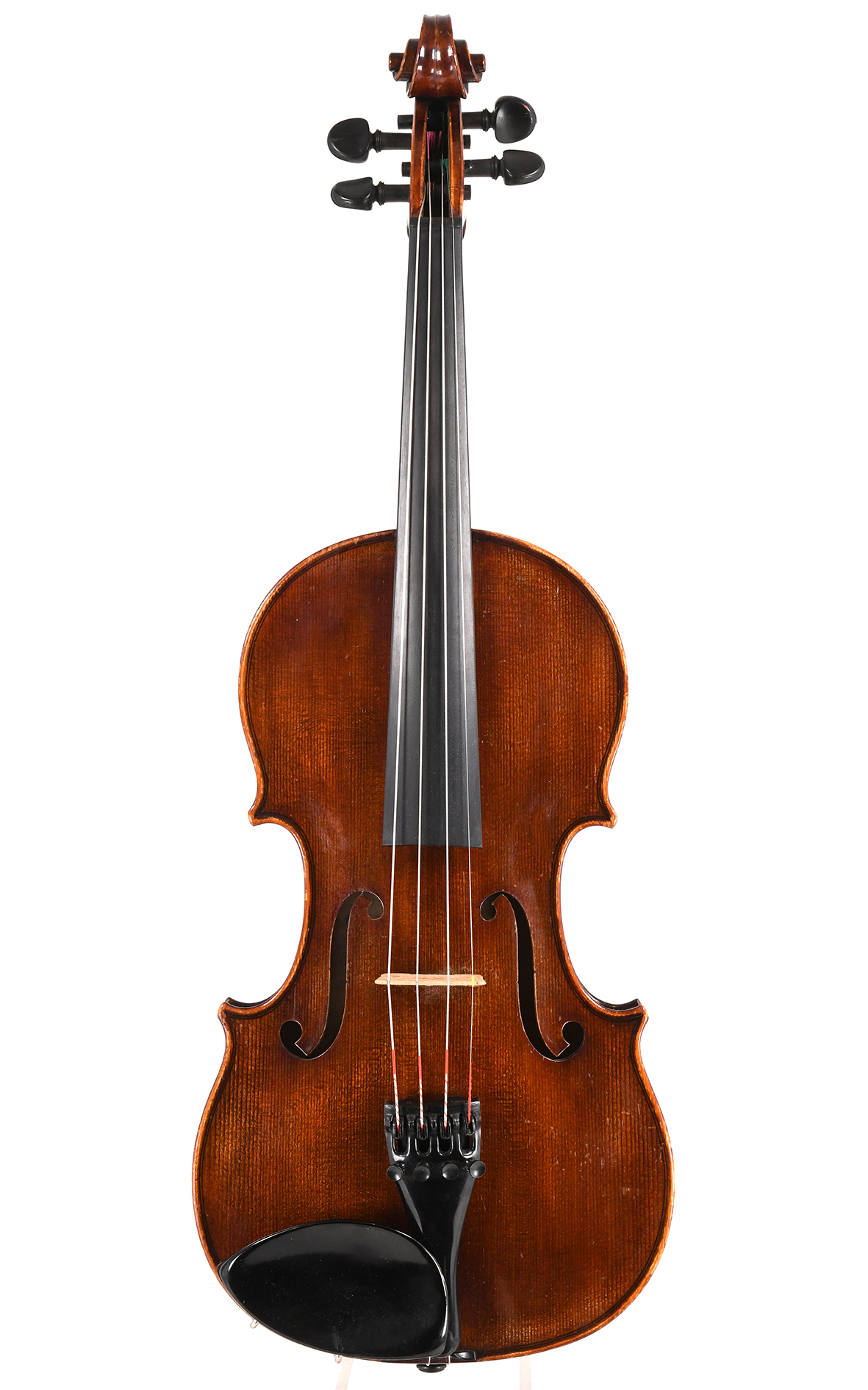 New arrivals | The latest instruments and bows in our catalogue