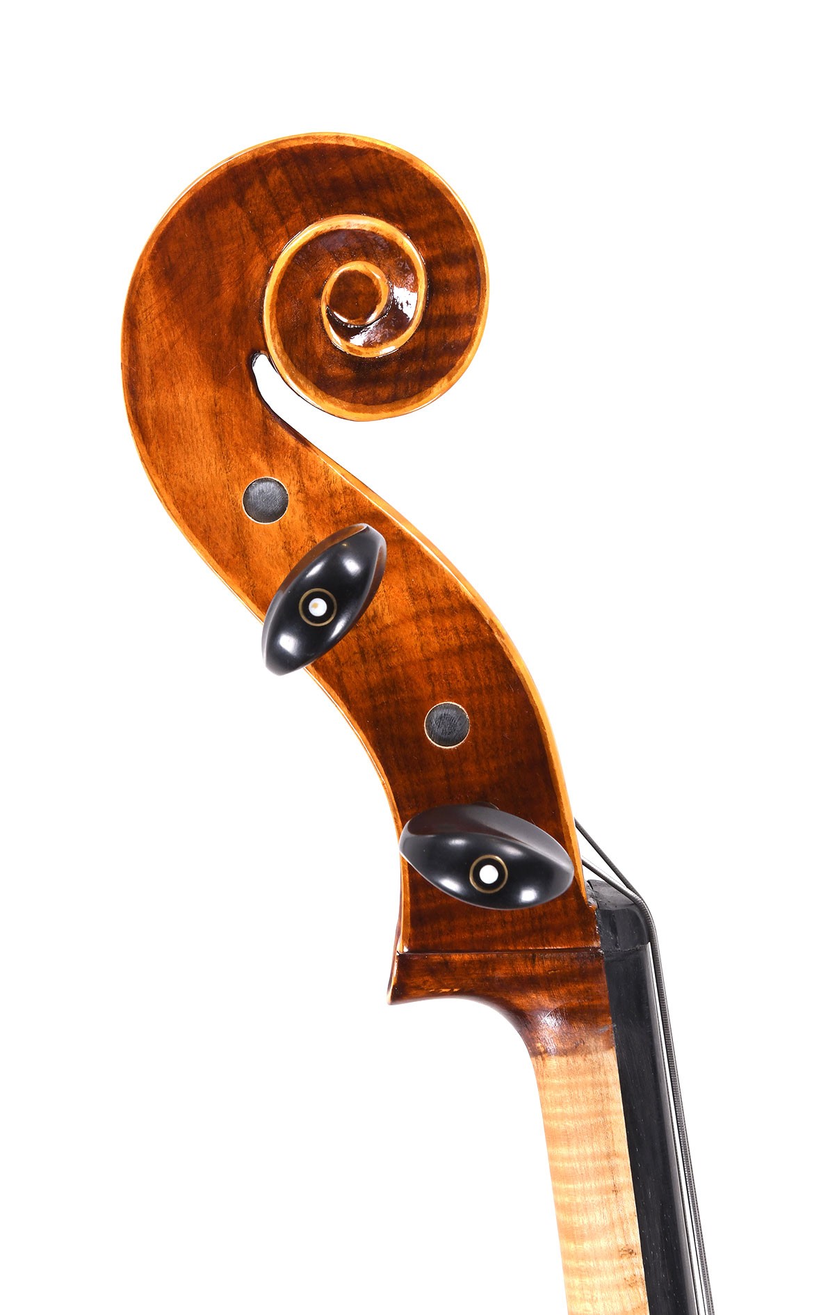 Cello op.18 from the "CV selectio" portfolio (set)