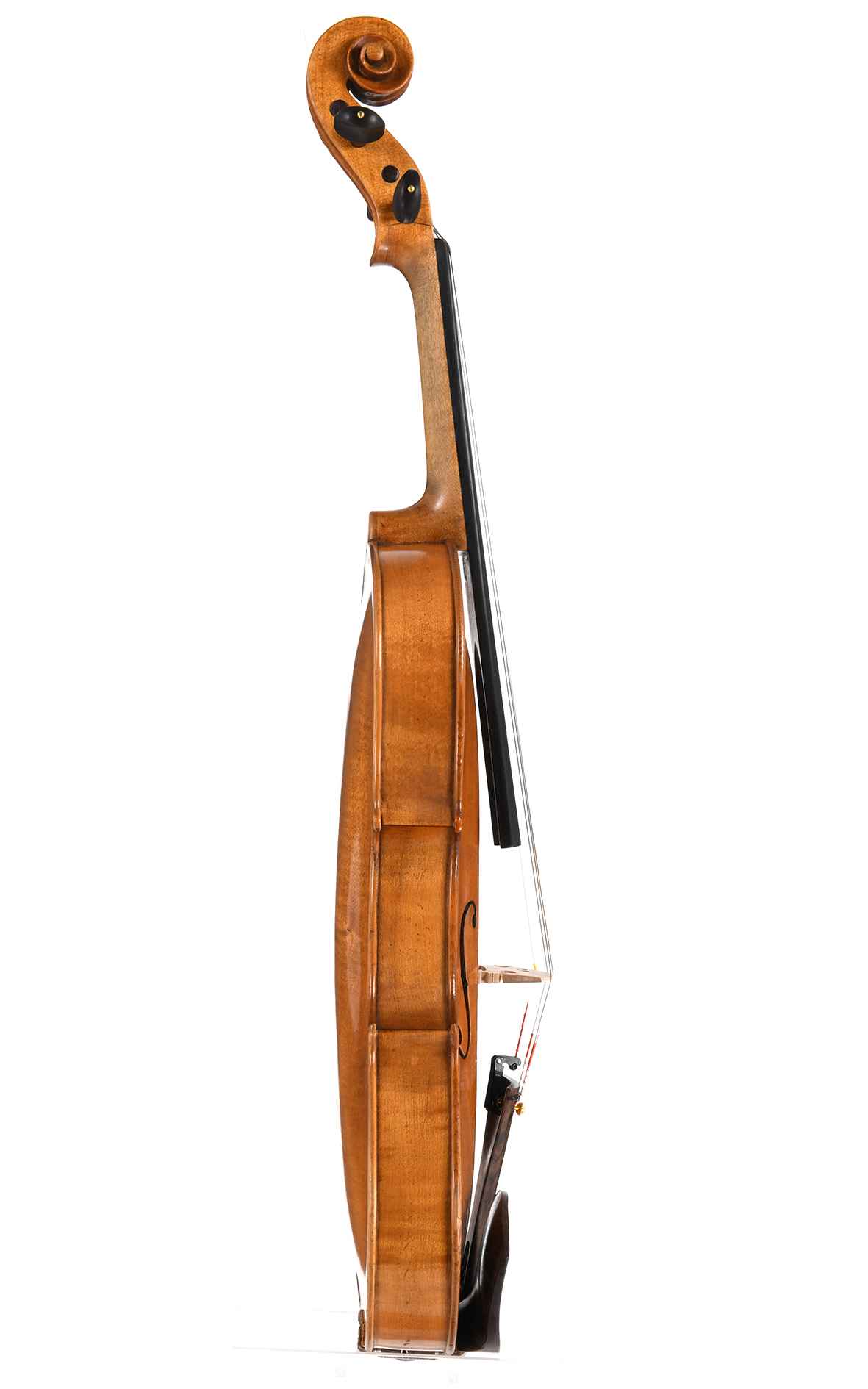 Old violin, Czech Republic