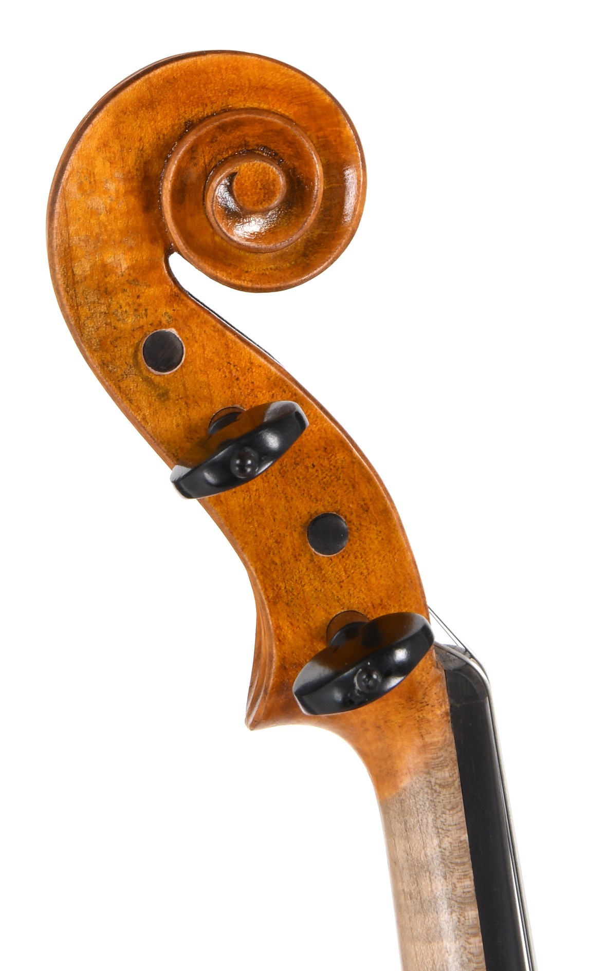 Violin after Guarnerius del Gesu - "CV Selectio" Opus 15 (set)