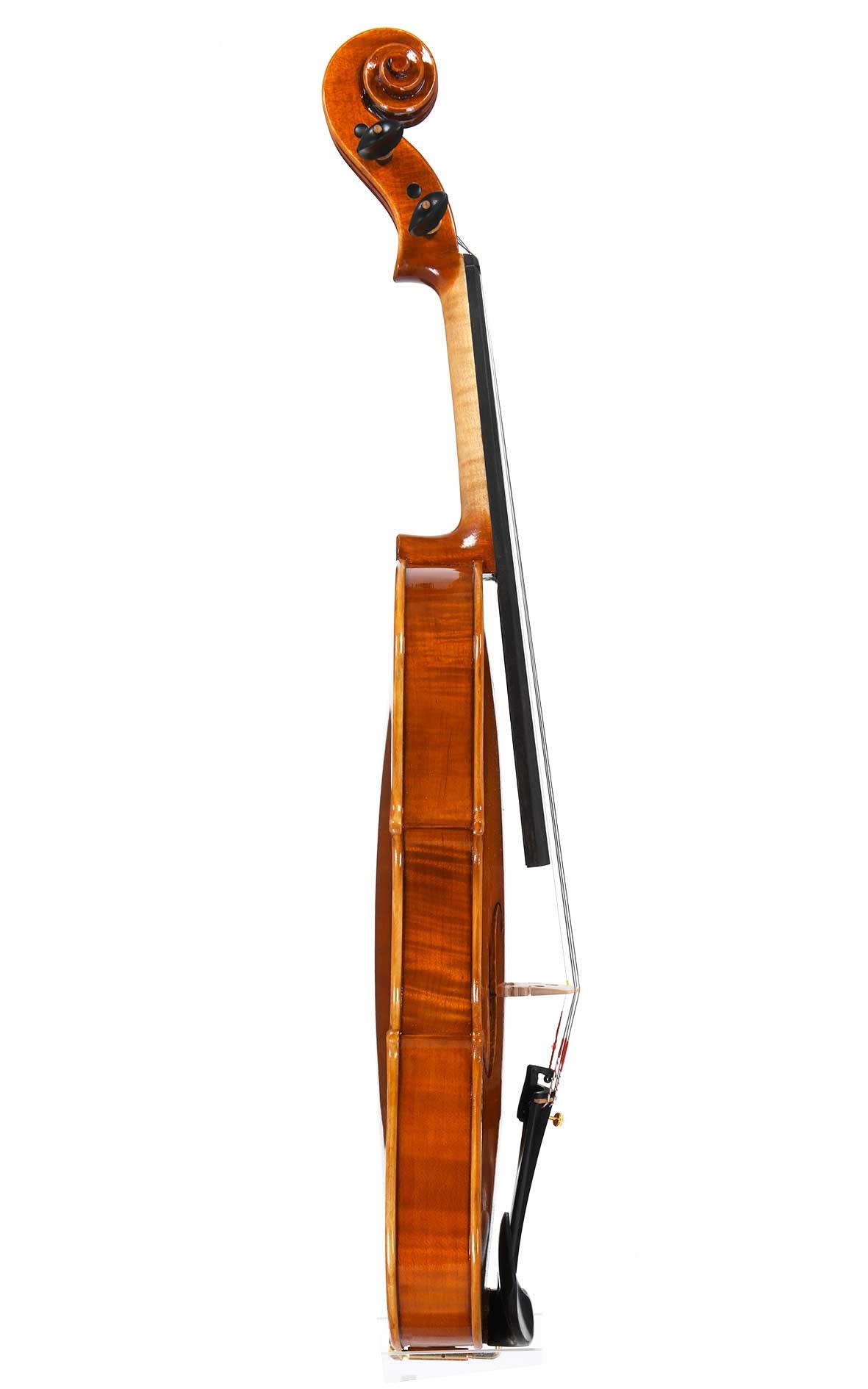 Cremona violin, Officina Mauro Lucini (2024)
