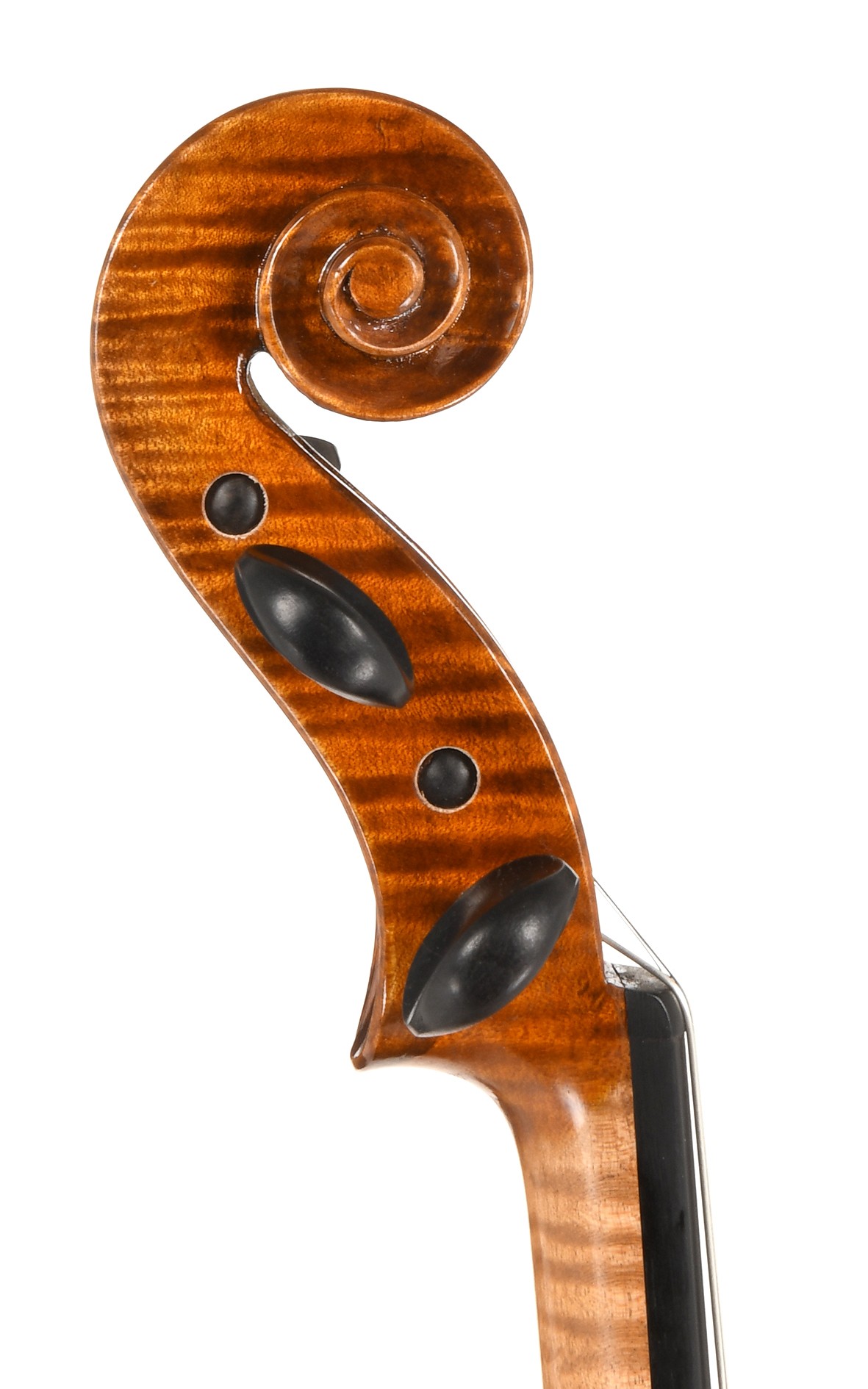 Violin opus 12 from Corilon's "CV Selectio" portfolio