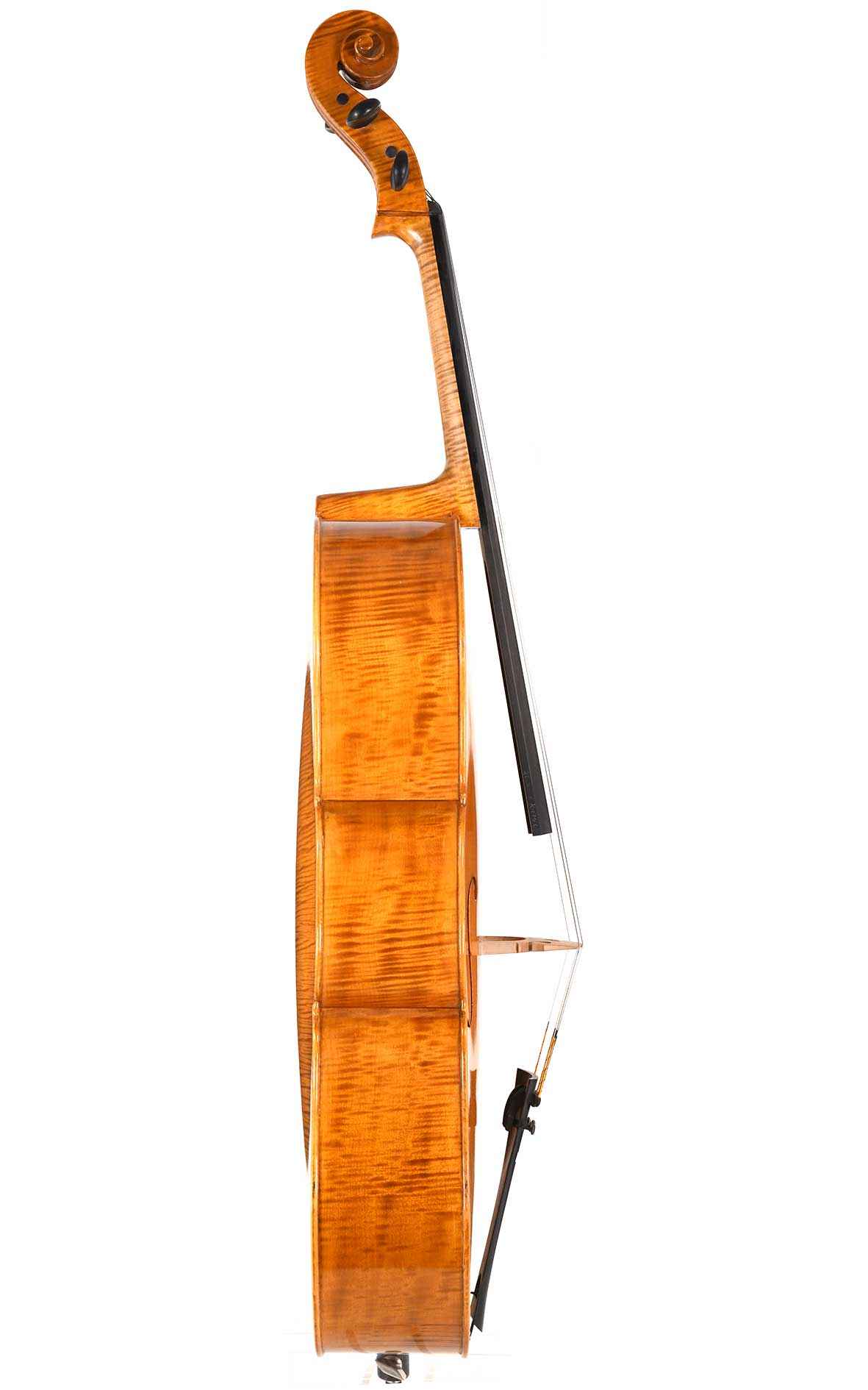 Professional Italian cello by Filippo Zanisi, Castelleone 1987