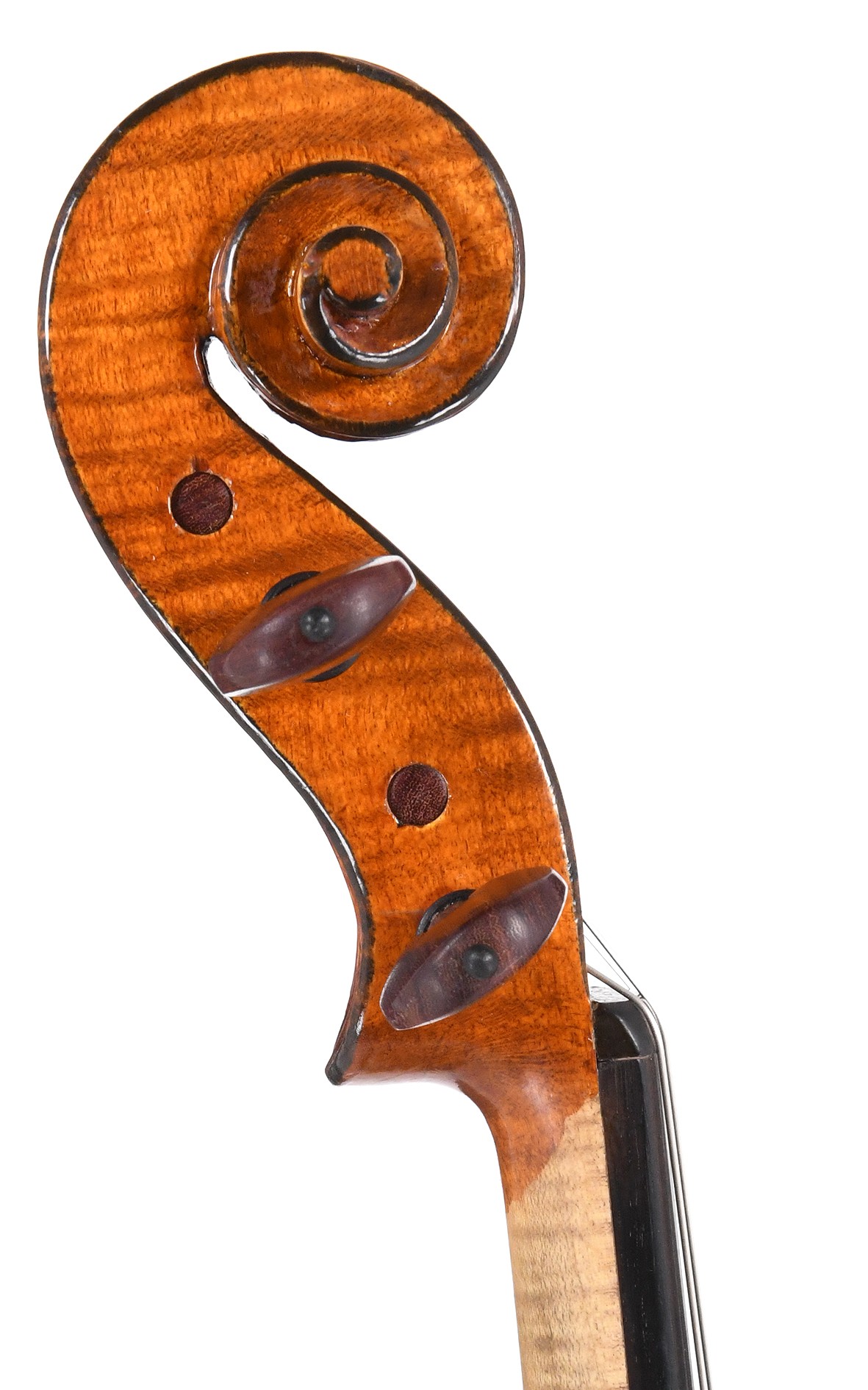 Italian violin, 2017 (certificate)