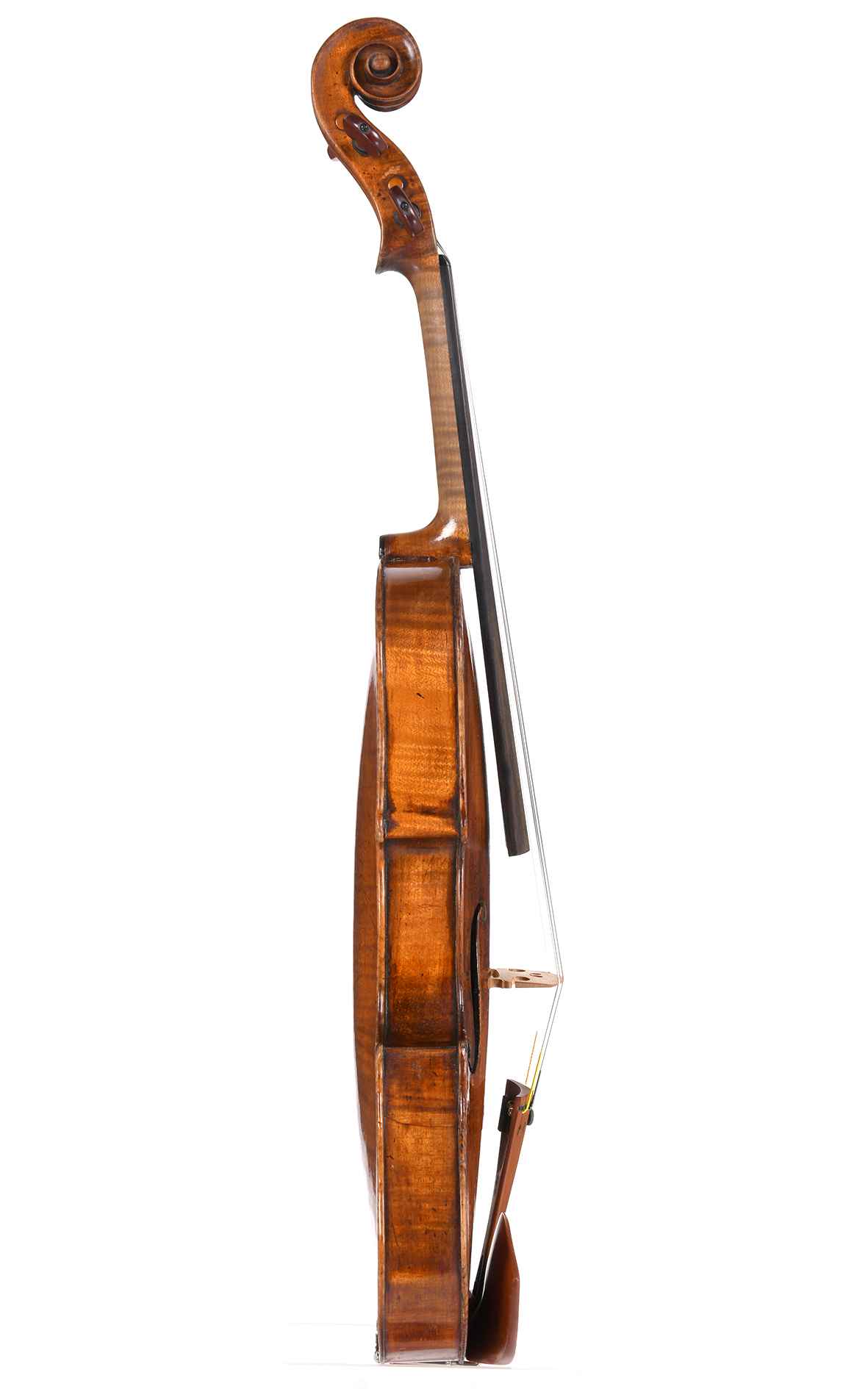 Andrea Castagneri, 1742: Fine violin from professional ownership (Roger ...