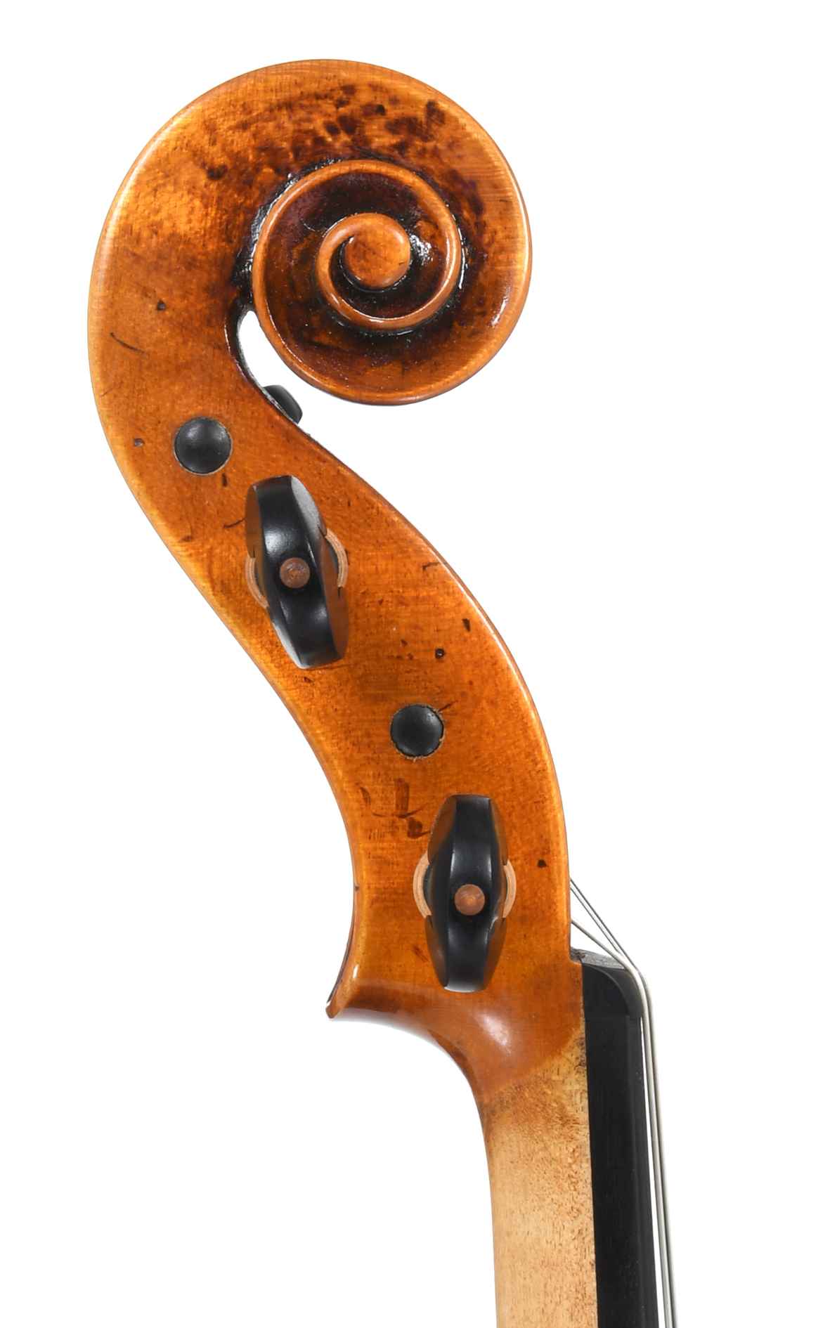 Cremona viola by Luca Mario Gallo (2023)