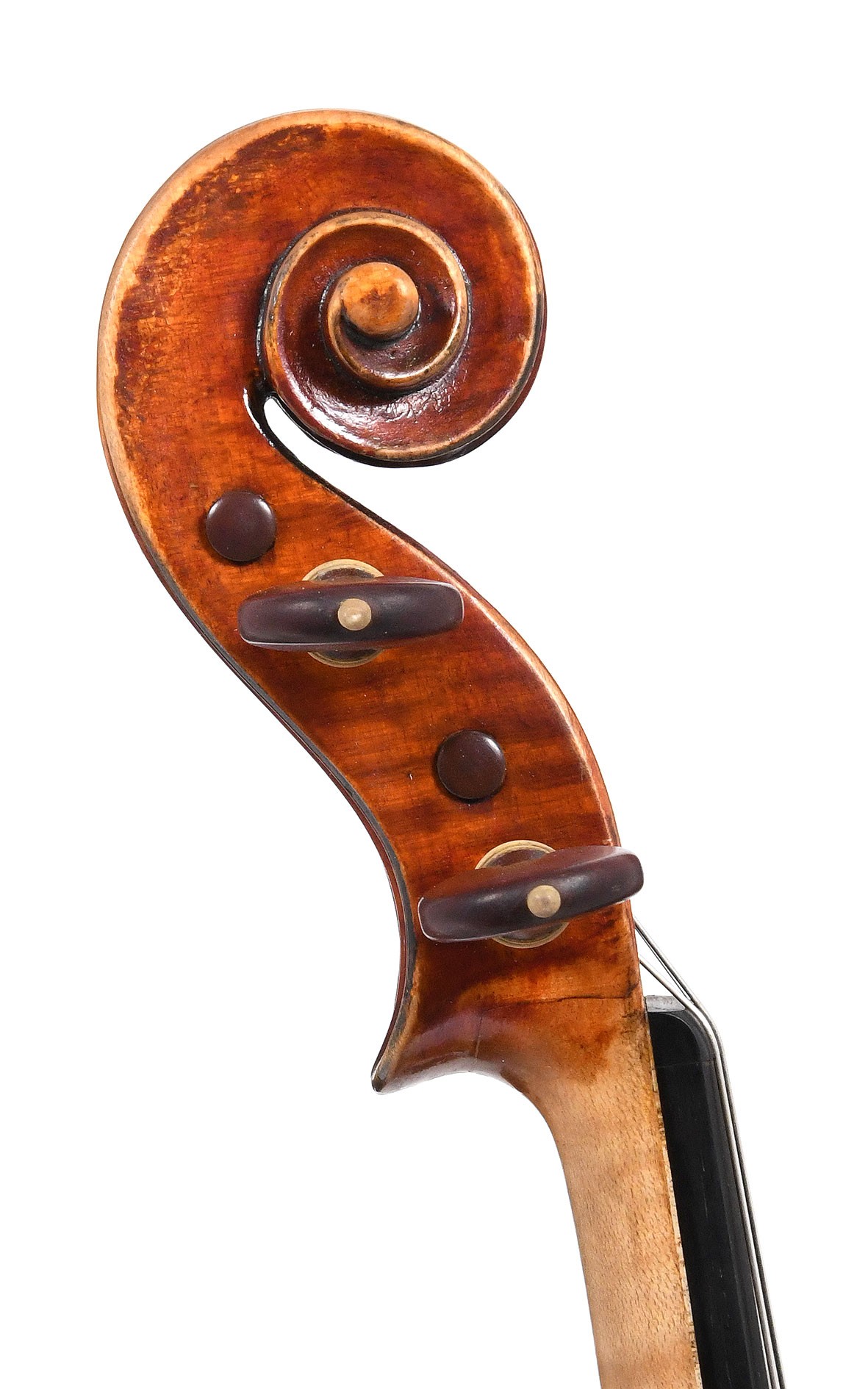 Feine italienische Geige (Zertifikat Carlson & Neumann)