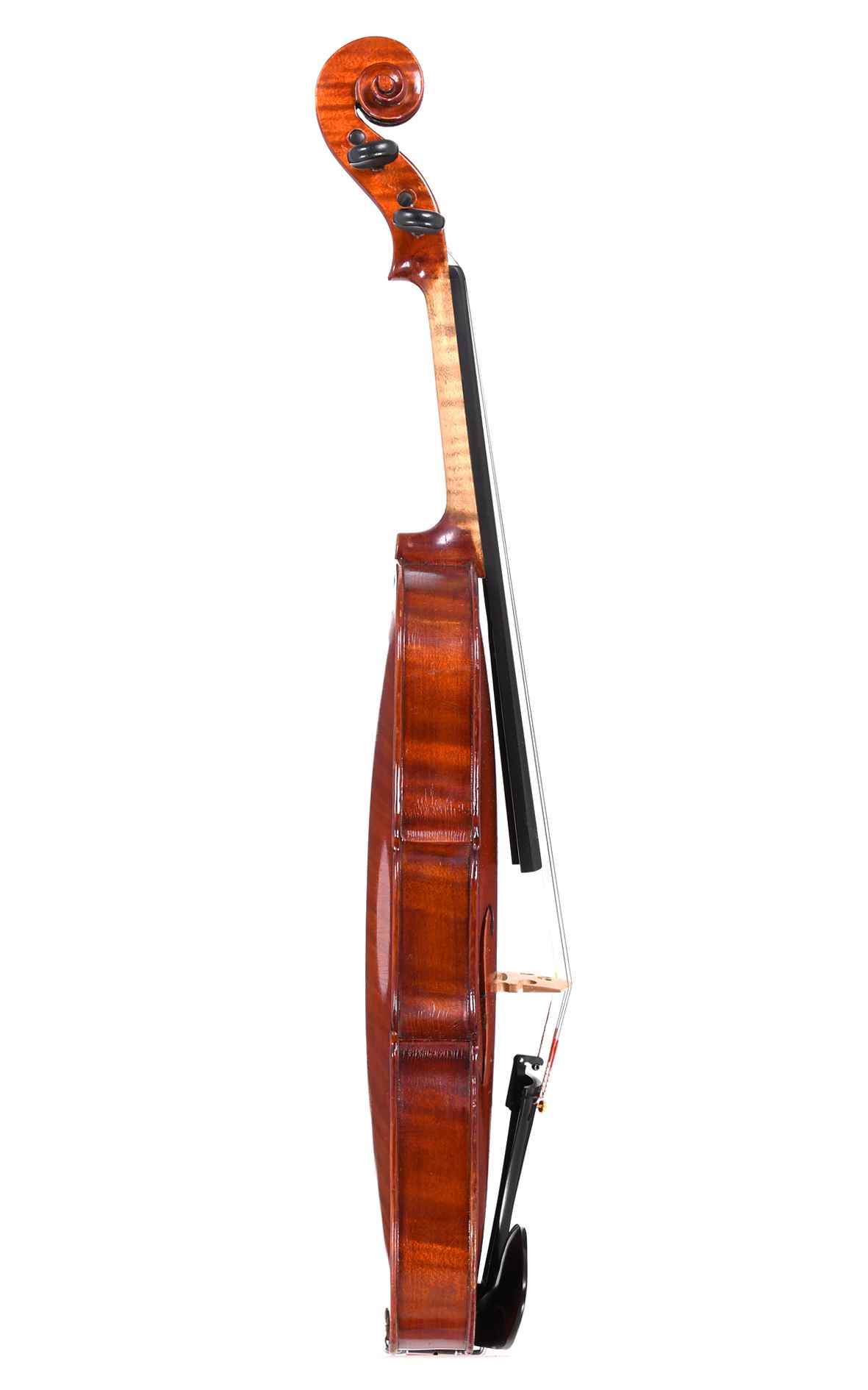 American violin by W. Wilkanowski. Brooklyn, 1938 - Violins / William ...