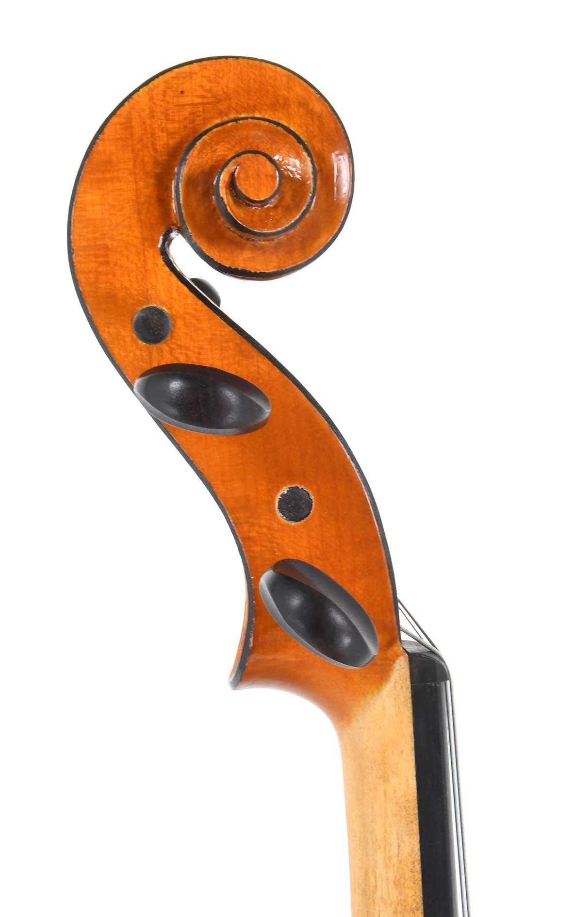 Viola, Officina Mauro Lucini, Cremona 2024