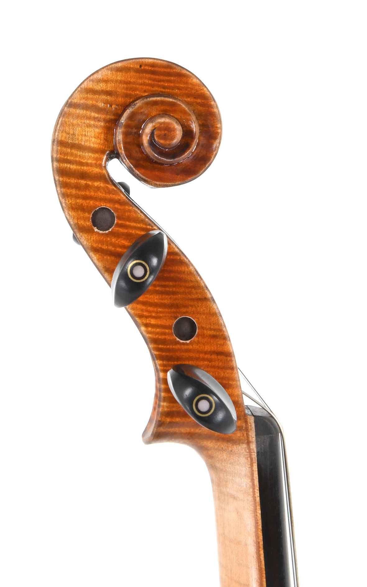 Violin opus 11 "CV Selectio" (violin set)