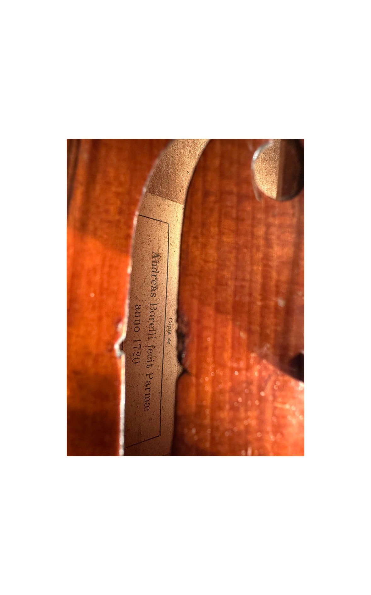 French violin, A. Torelli model by Laberte-Humbert Frères