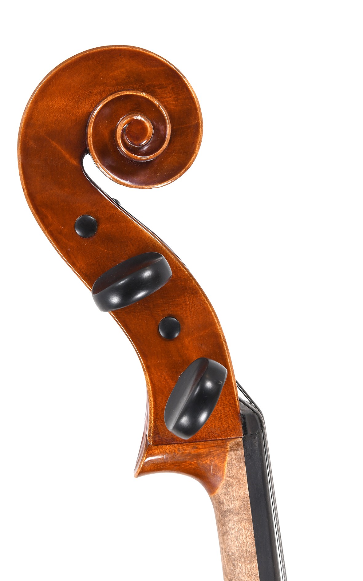 Contemporary Romanian cello from the year 2020