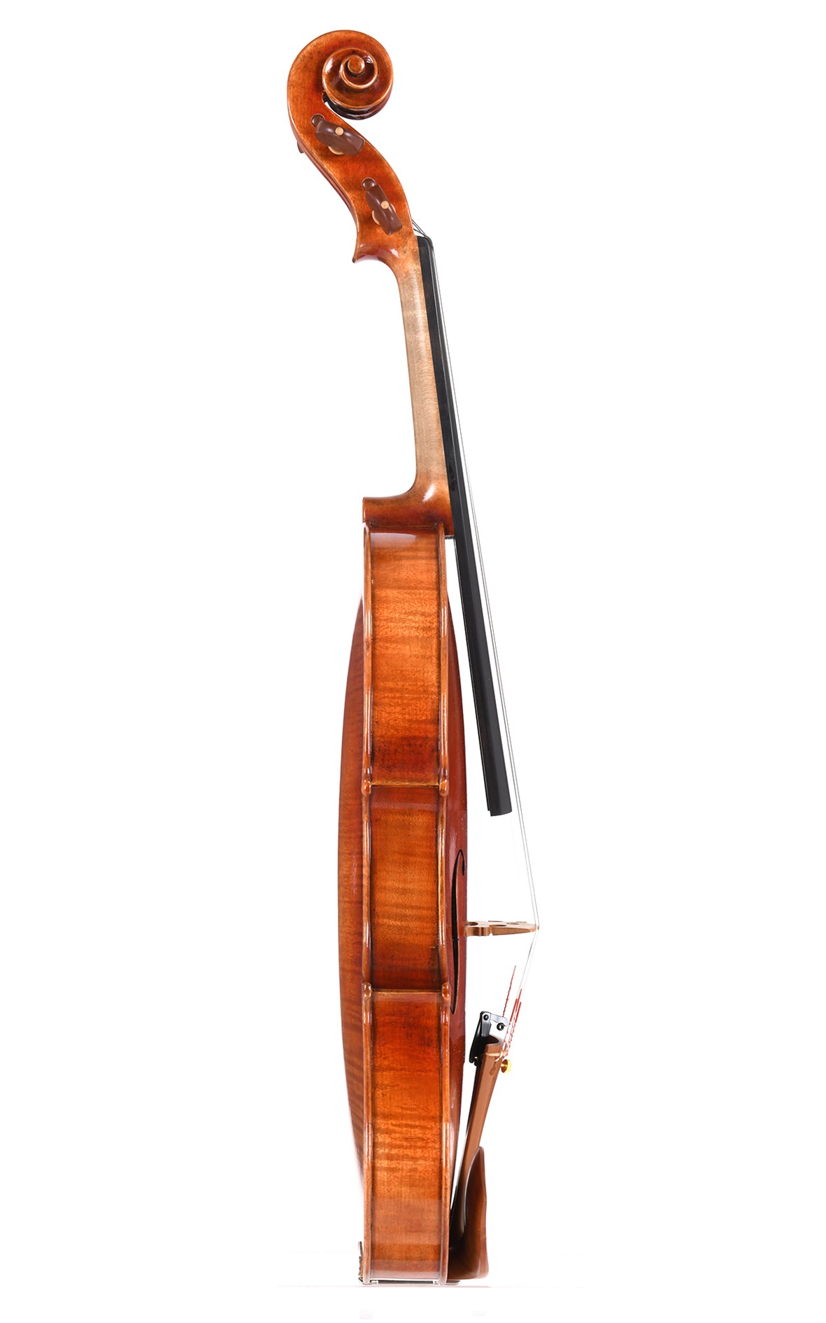 Professional sound: Master violin opus 1 (Guarnerius)