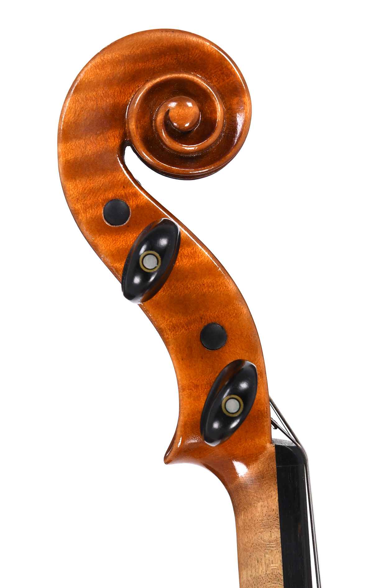 Ernst Heinrich Roth, master violin model F6 (1997) | Violins