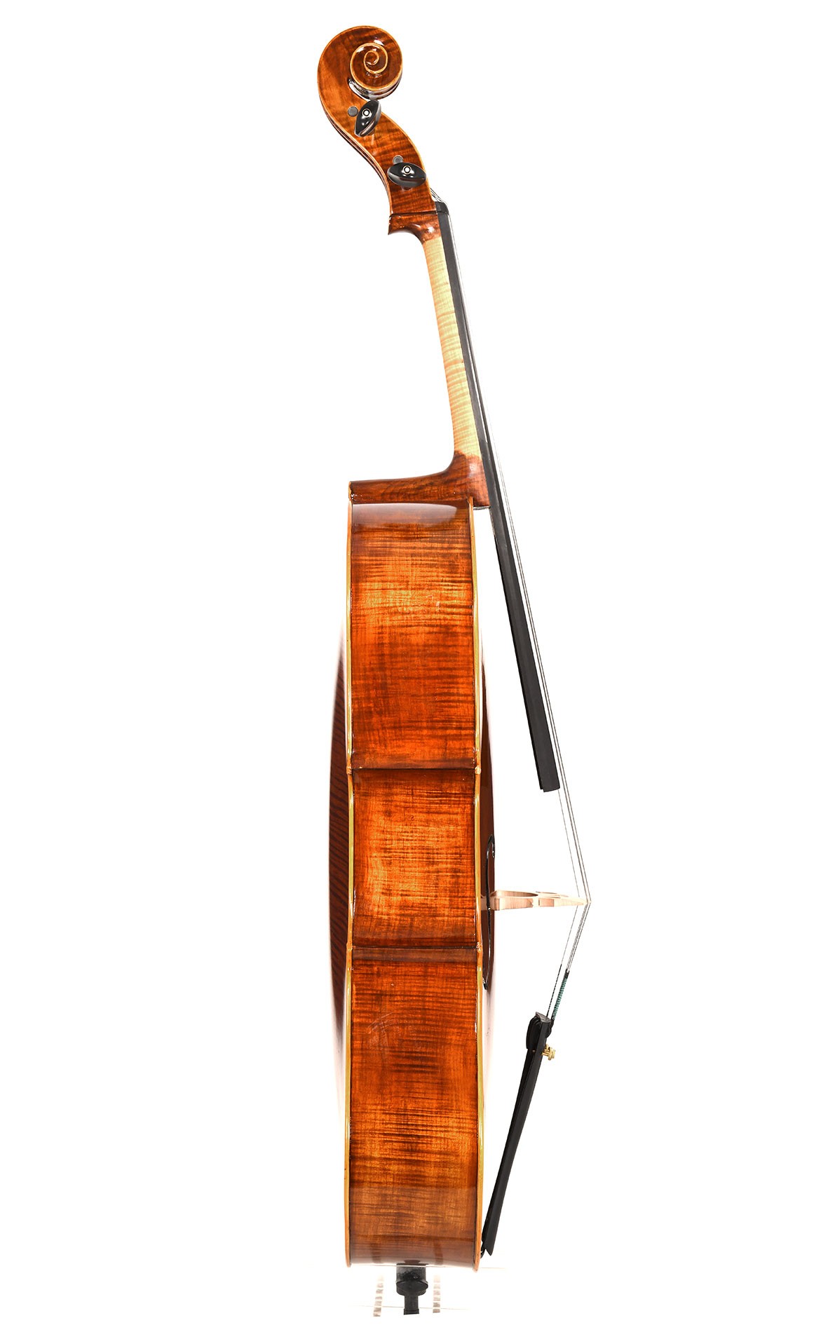 Cello op.18 from the "CV selectio" portfolio (set)