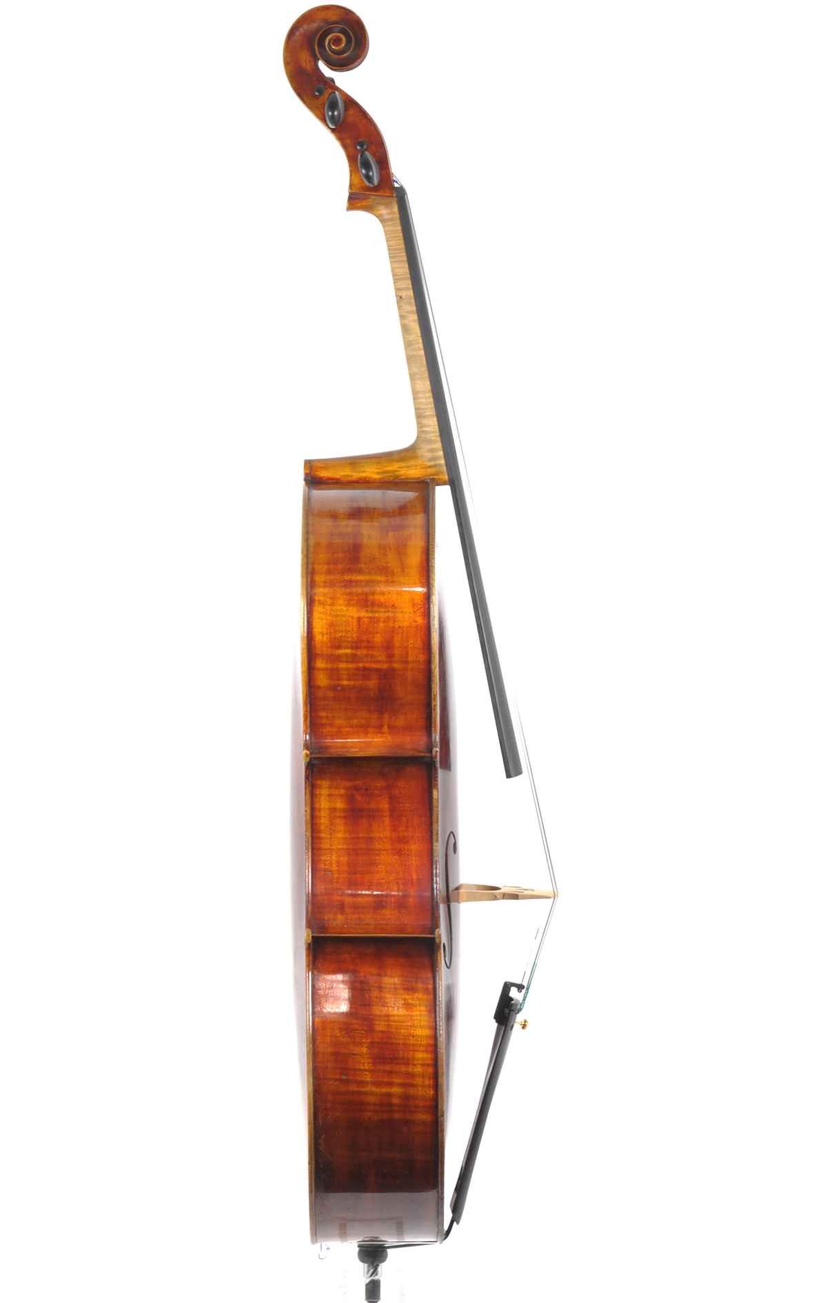 Old German Cello by Eduard Tauscher, circa 1920