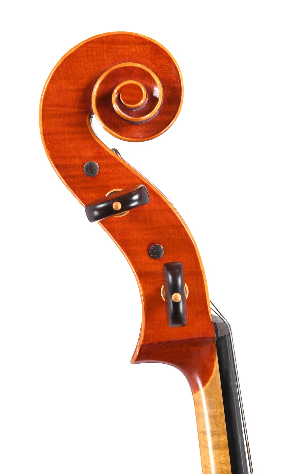 Italian cello by Lorenzo Locatelli, Cremona (certificate Lorenzo Locatelli)