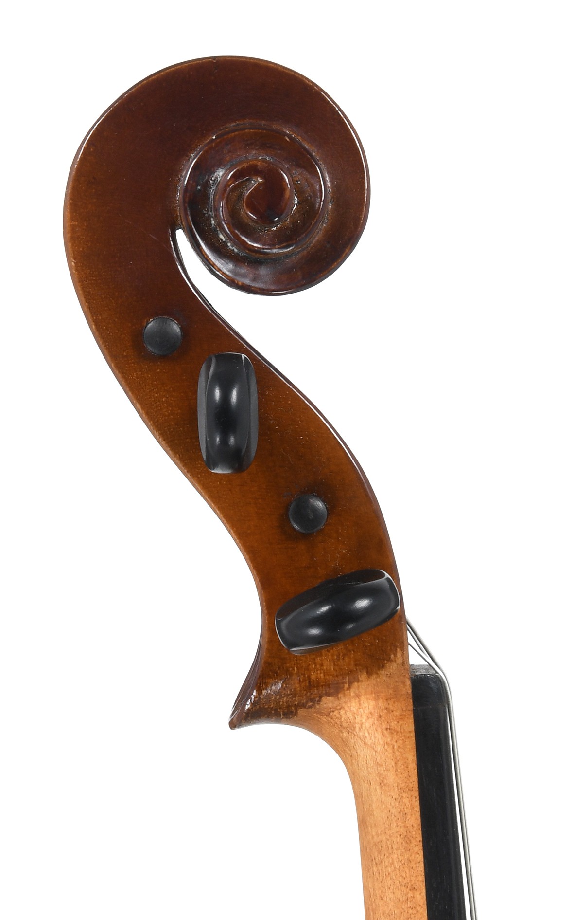 Viola by Derick M. Sanderson, Alva 1985