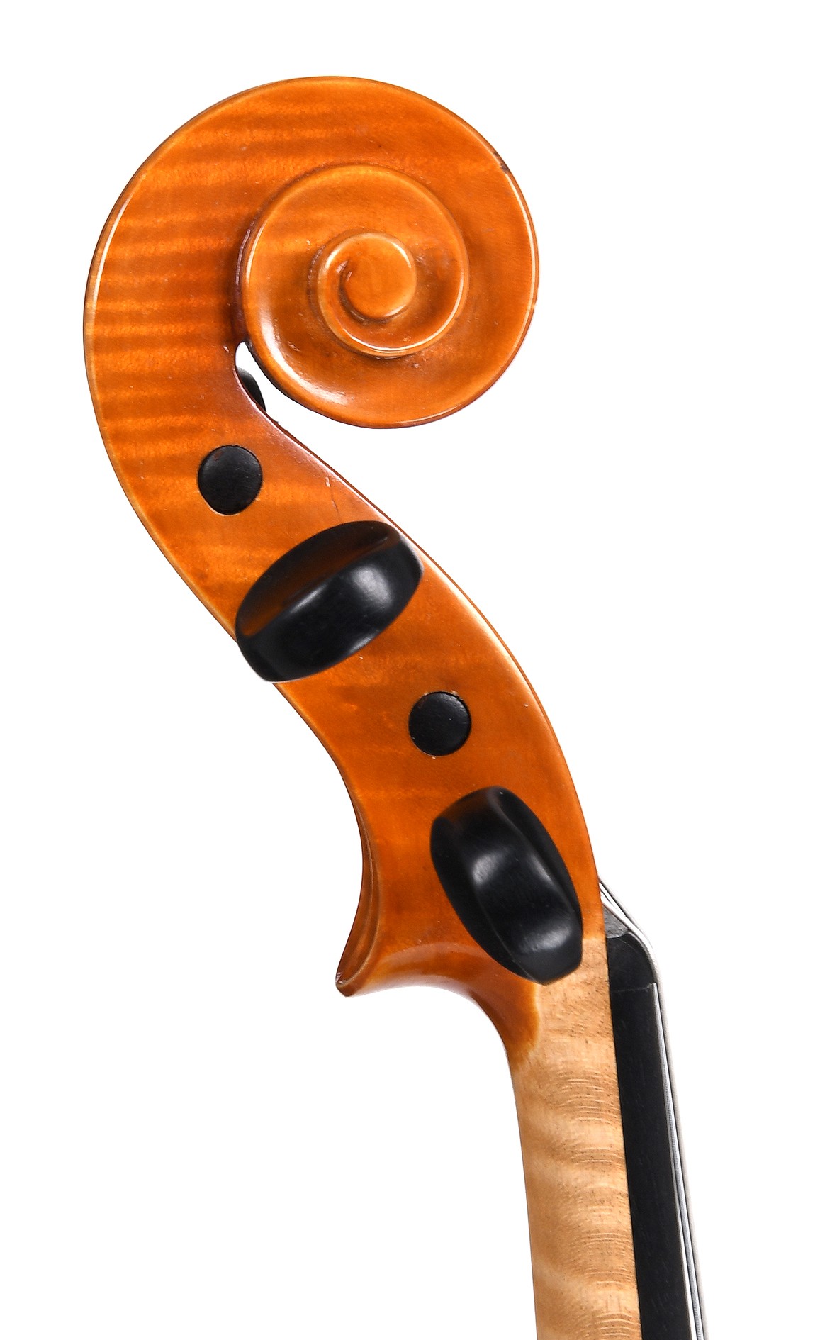 Italian violin: Luciano Longo (certificate)