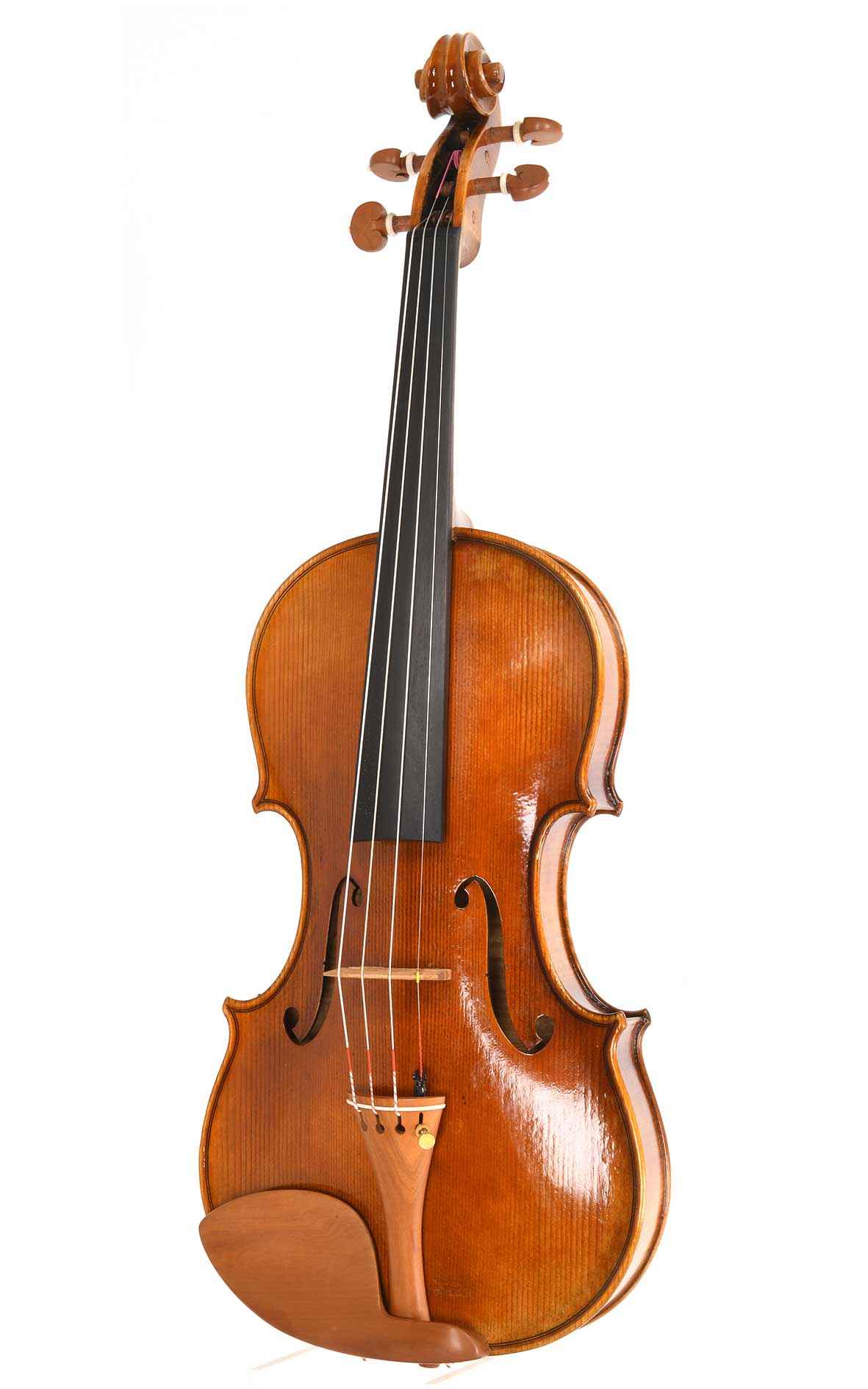 Professional sound: Master violin opus 1 (Guarnerius)