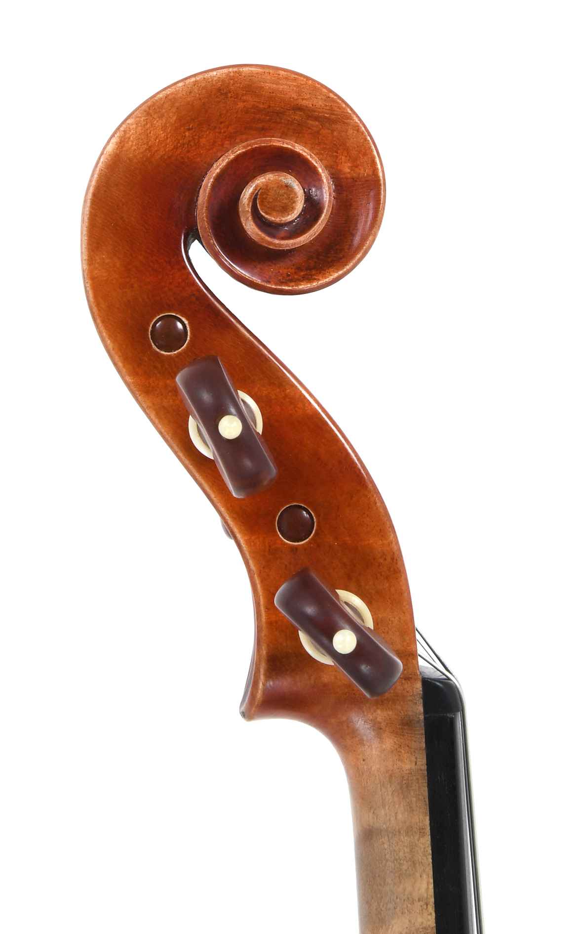 Master violin op.2 (certificate)