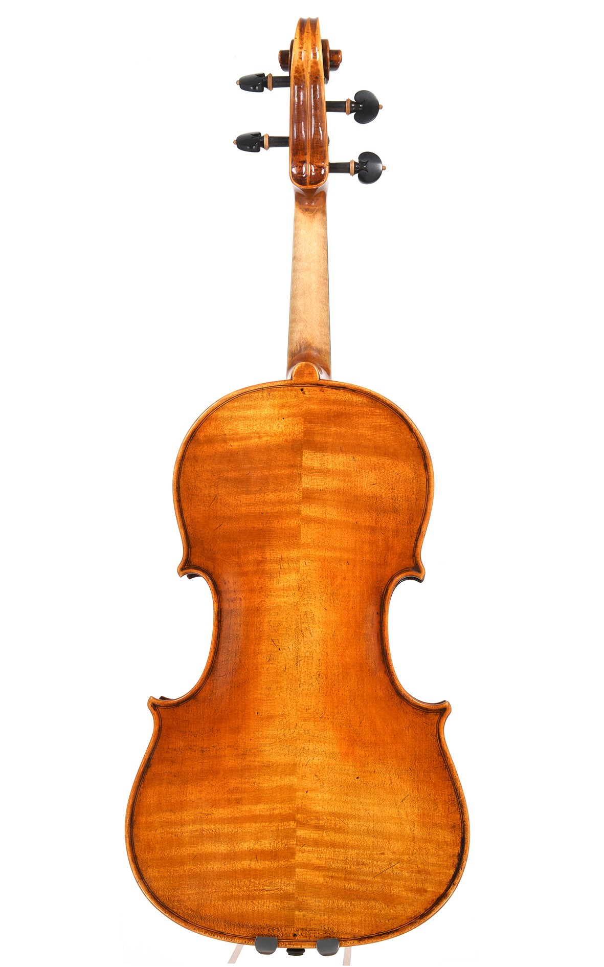 Cremona viola by Luca Mario Gallo (2023)
