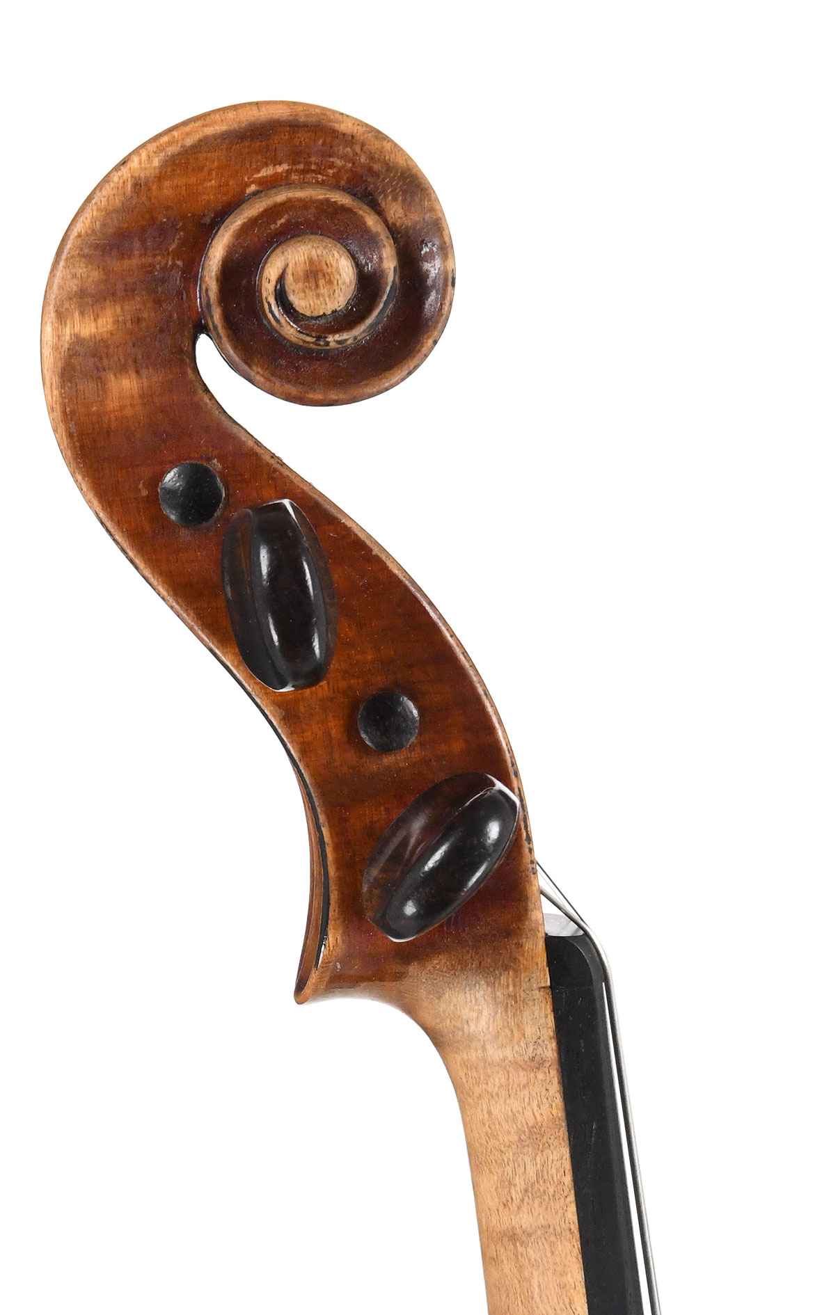 Feine italienische Geige von Carlo Bruno, Turin 1897