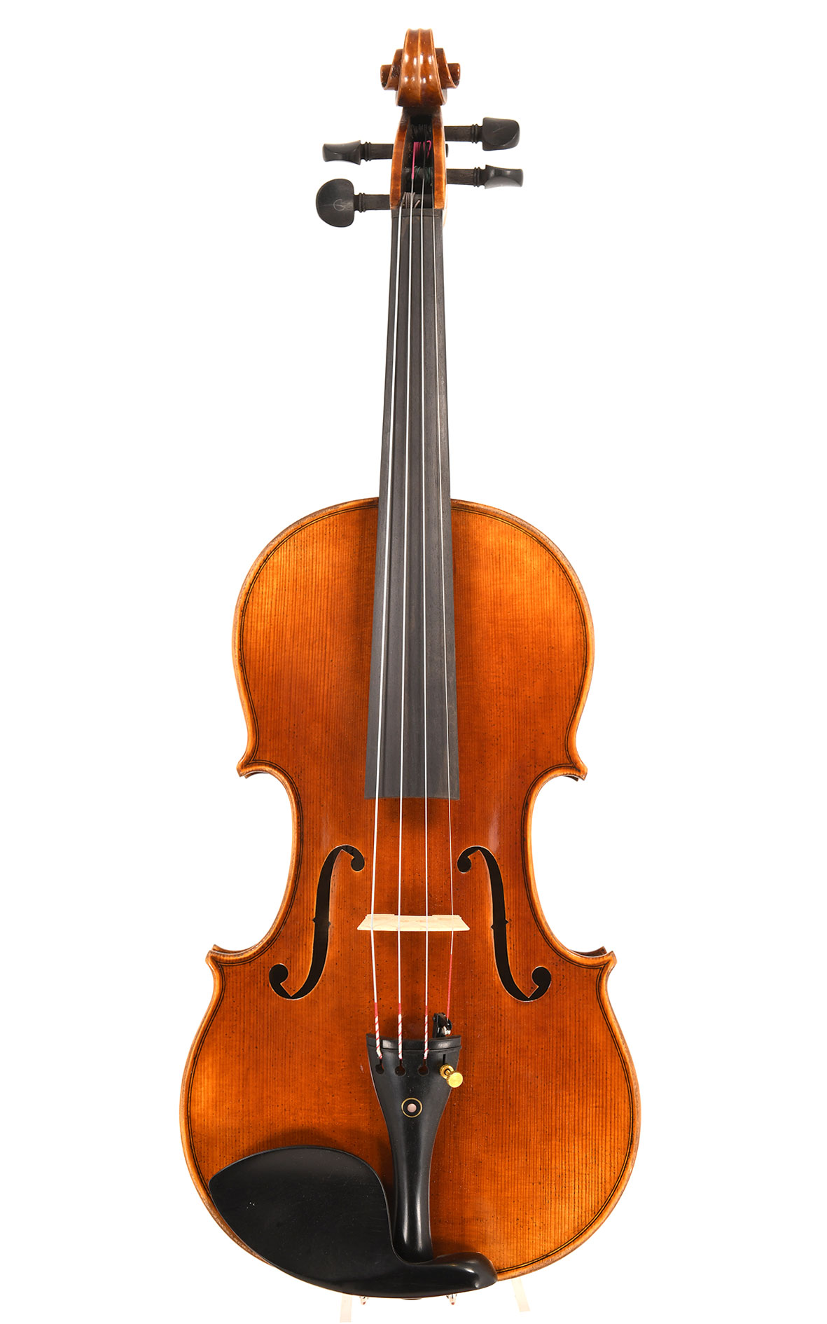 Violin opus 11 from the "CV Selectio" portfolio